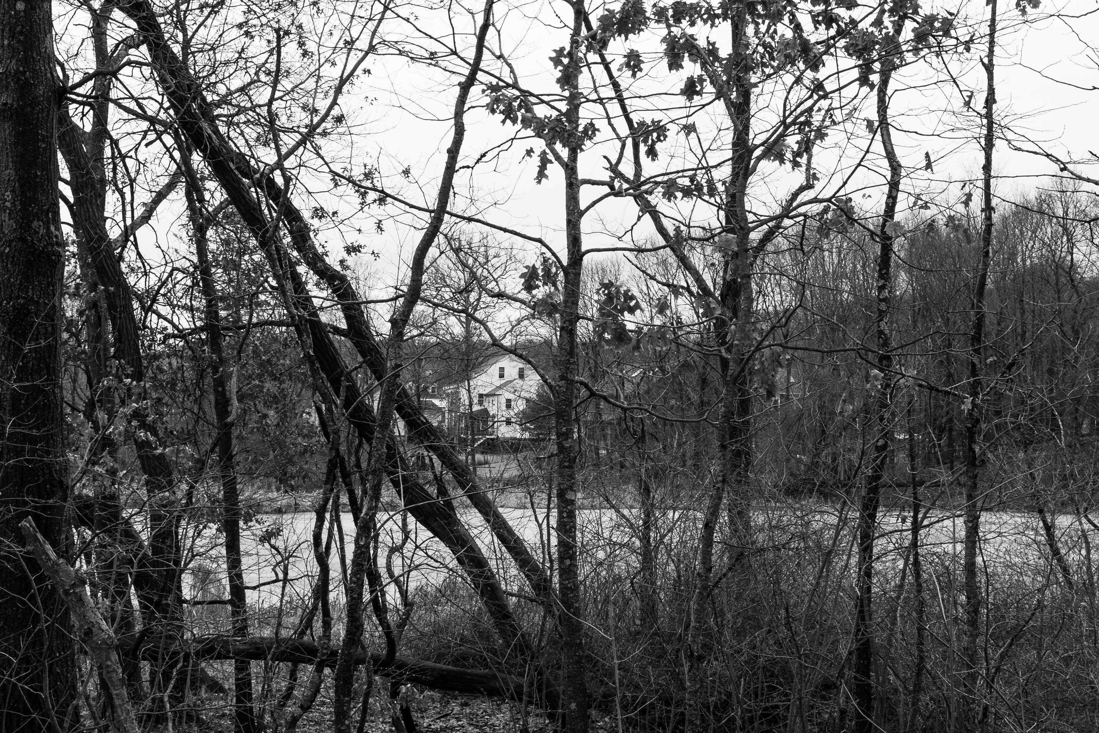 Phil Evenden - Photography