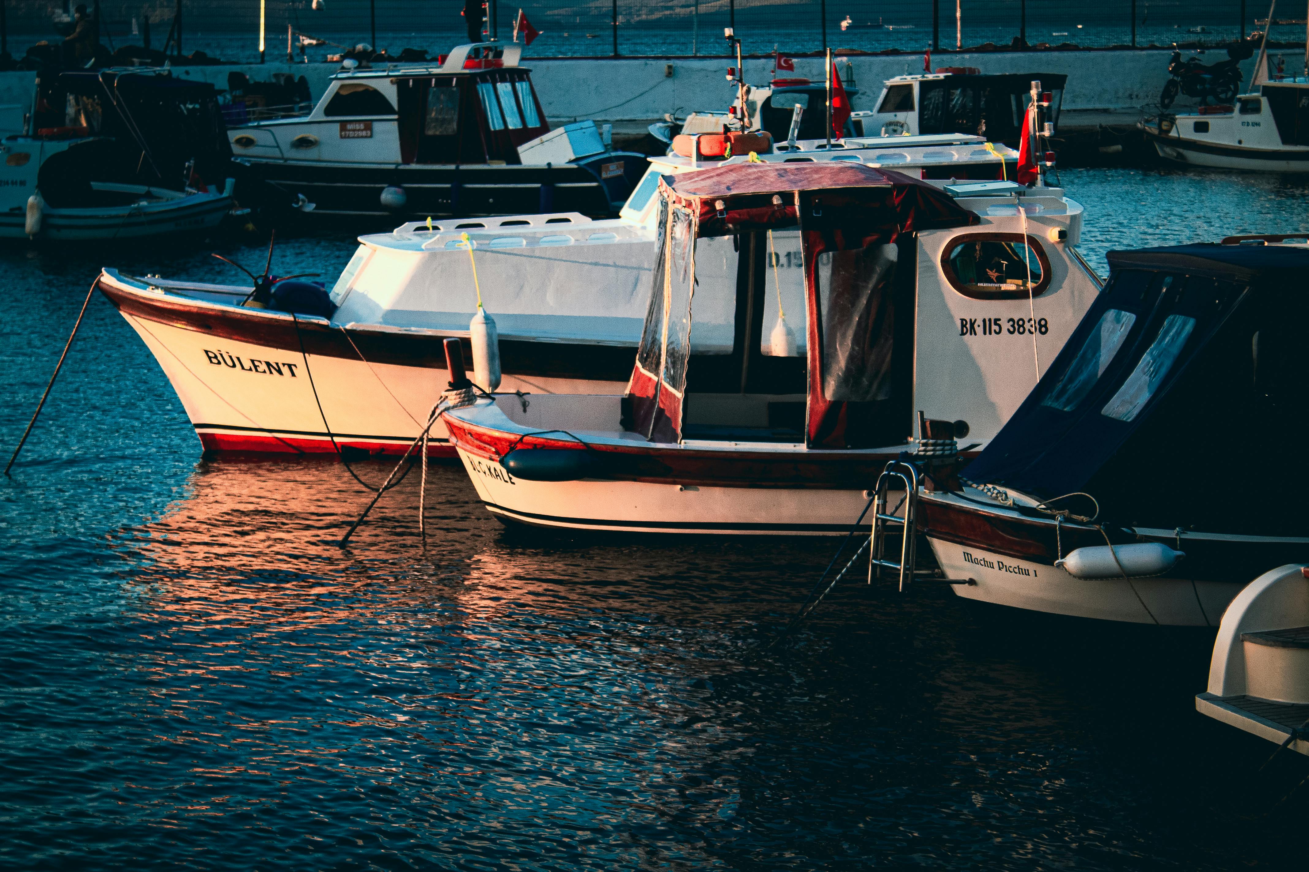 Boats in a Harbor · Free Stock Photo