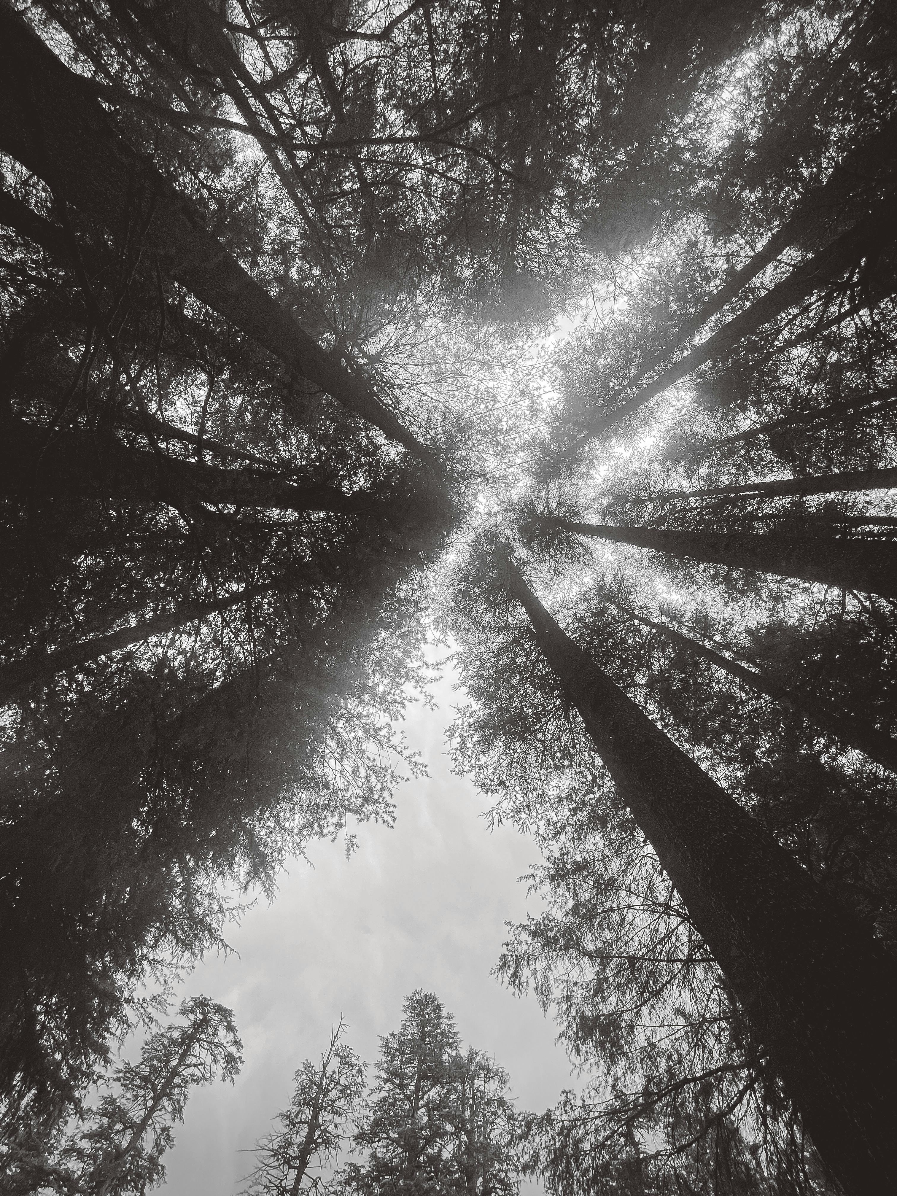 Aalekh Deval - Photography