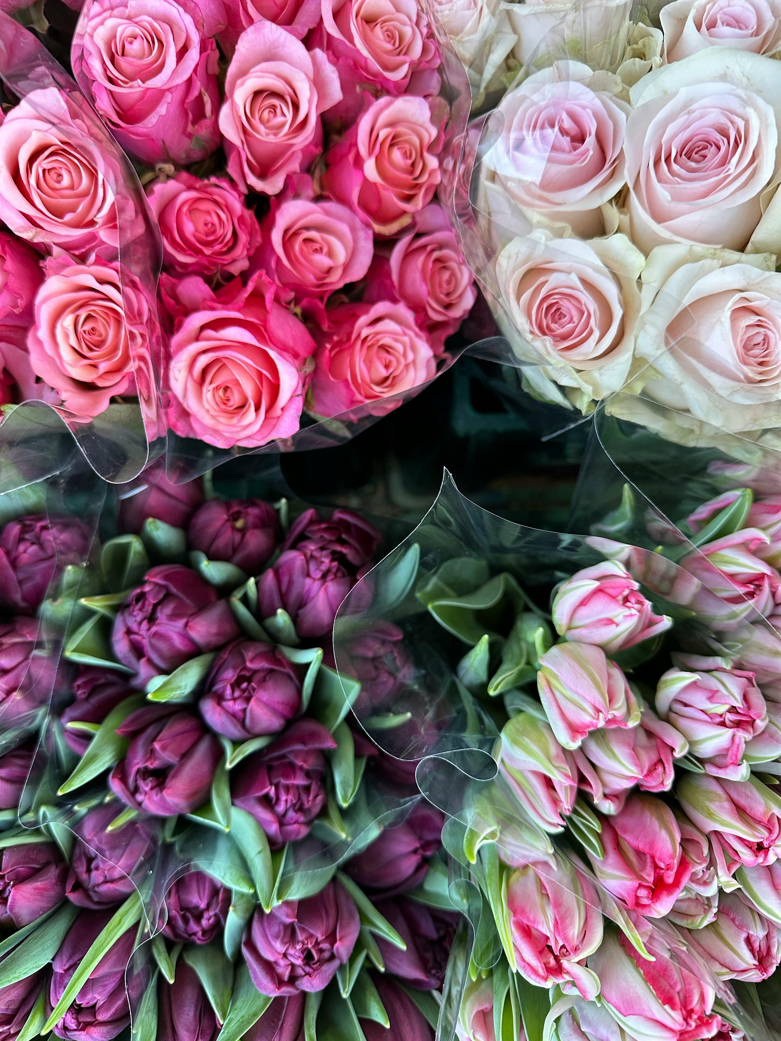 Choice of Roses and Tulips · Free Stock Photo
