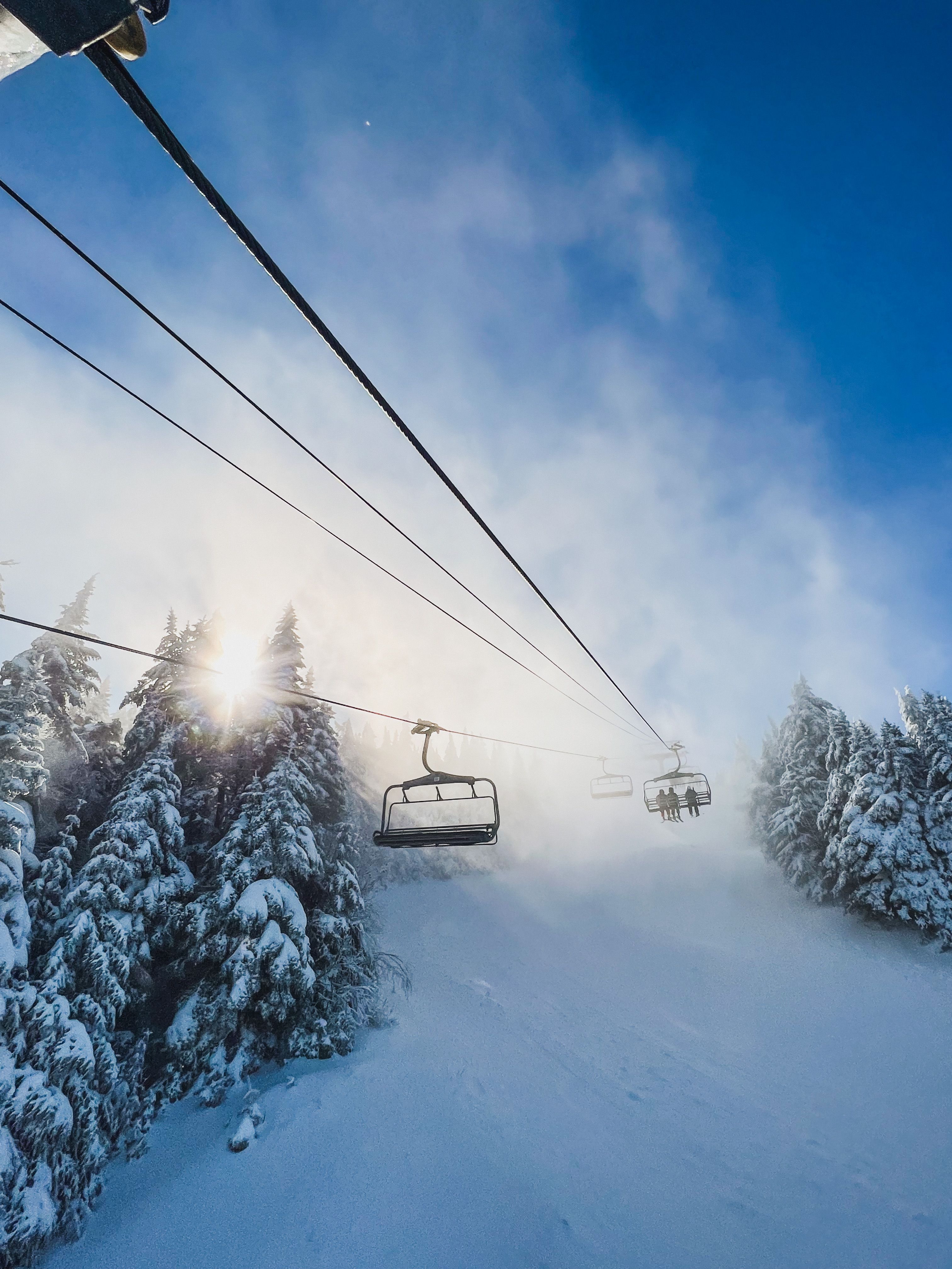 Winter Wonderland Tree Photos, Download The BEST Free Winter Wonderland ...