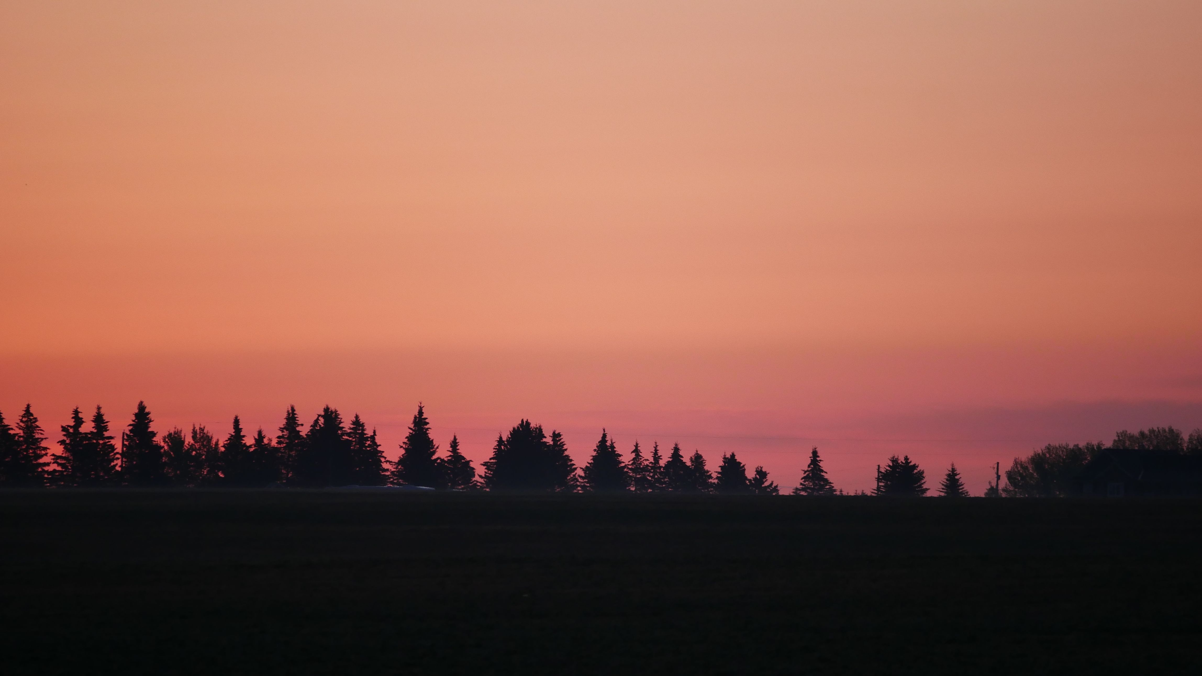 Les Miller - Photography