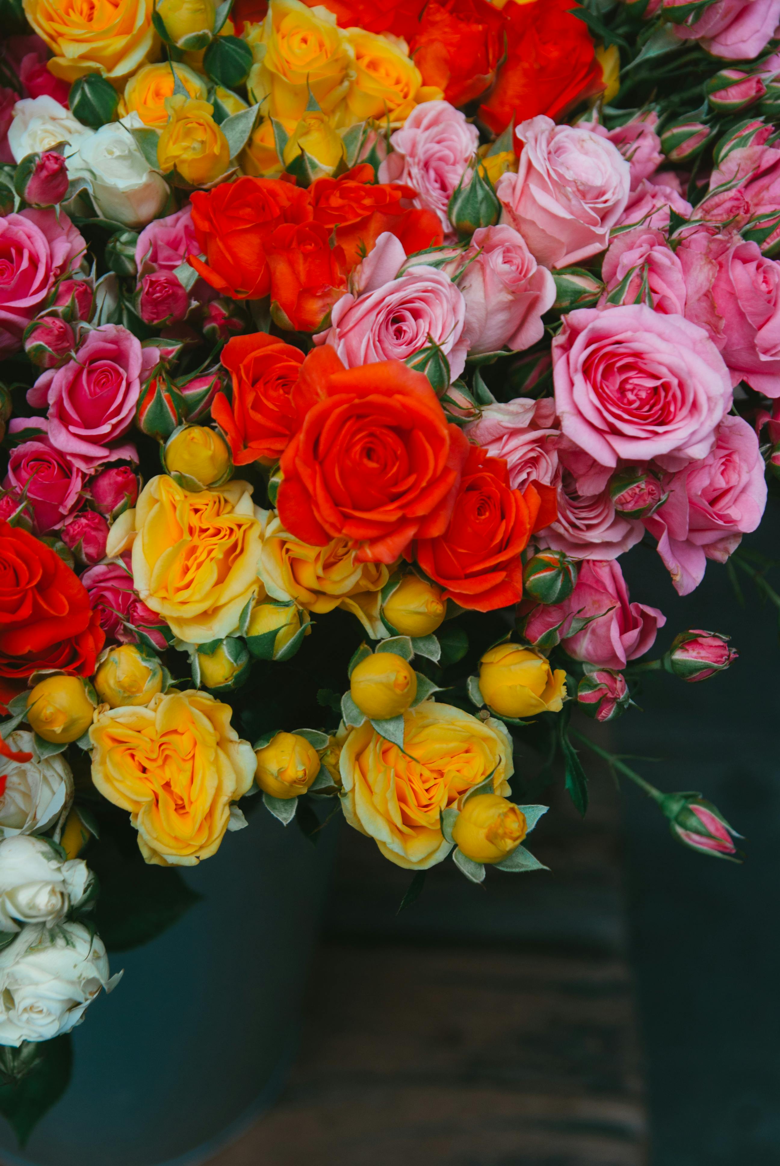 Close-up of a Bouquet of Colorful Flowers · Free Stock Photo