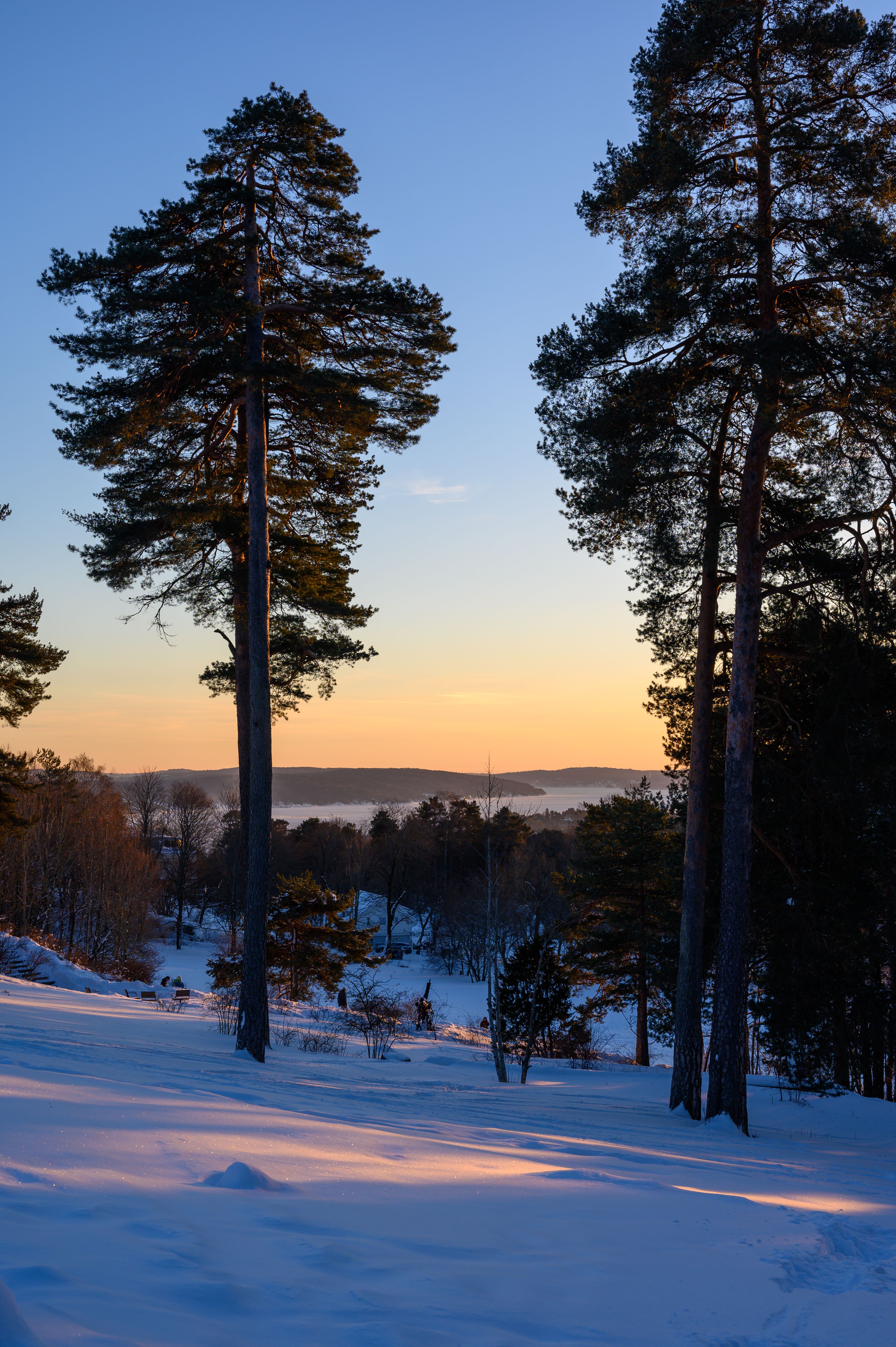 Landscape No Copyrught Photos, Download The BEST Free Landscape No ...