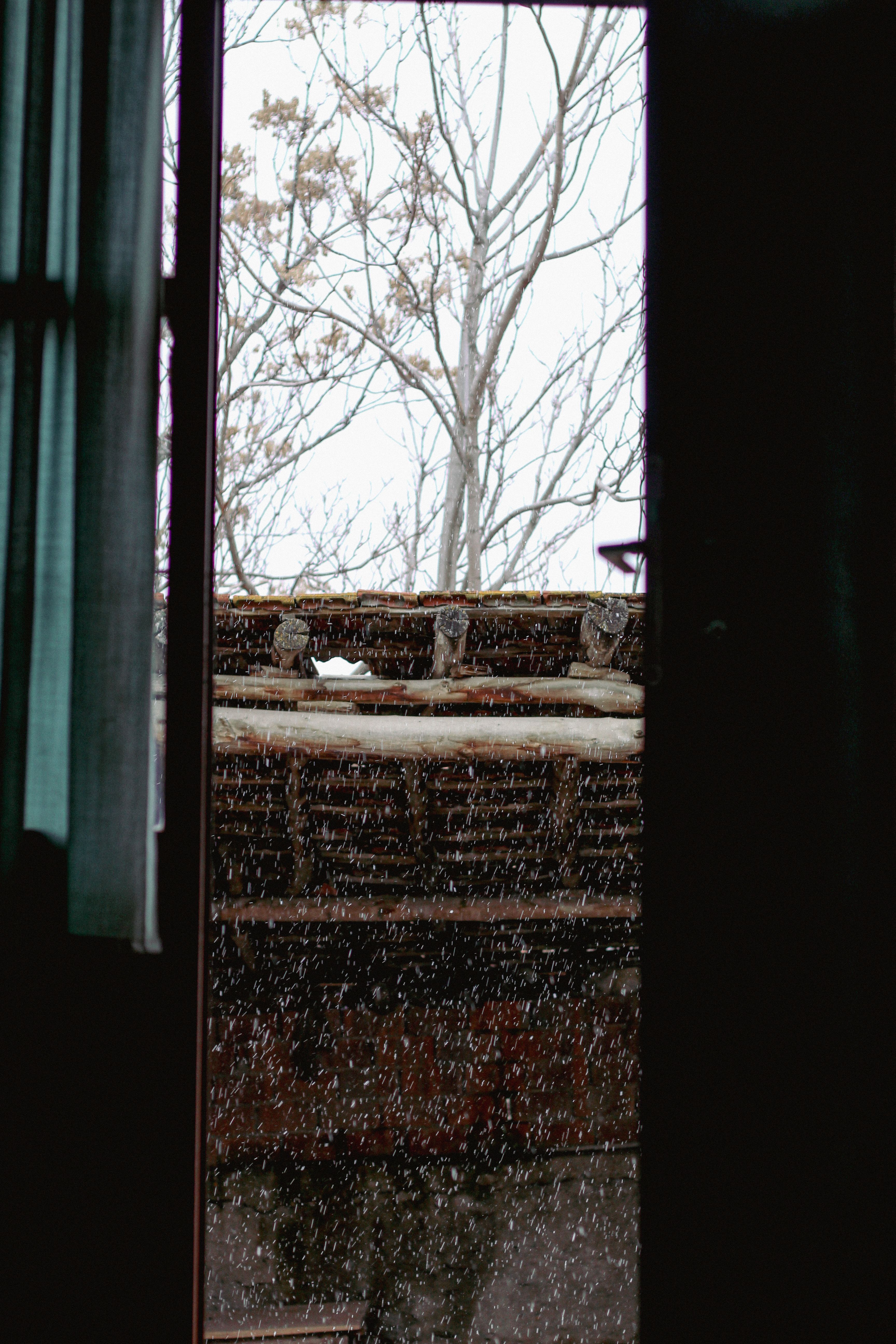Snowfall behind Open Door · Free Stock Photo