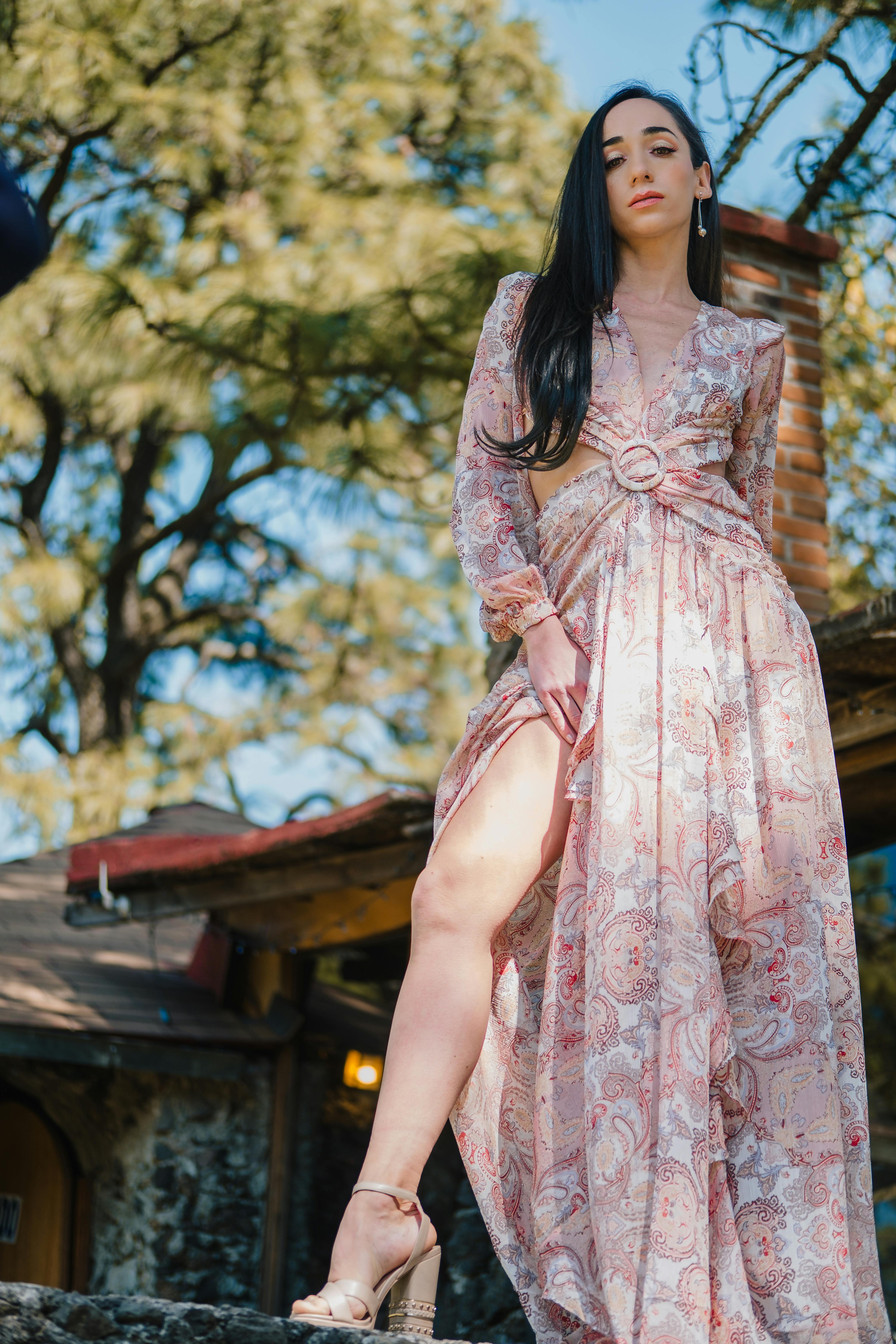 Maxi Olea Photos, Download The BEST Free Maxi Olea Stock Photos & HD Images