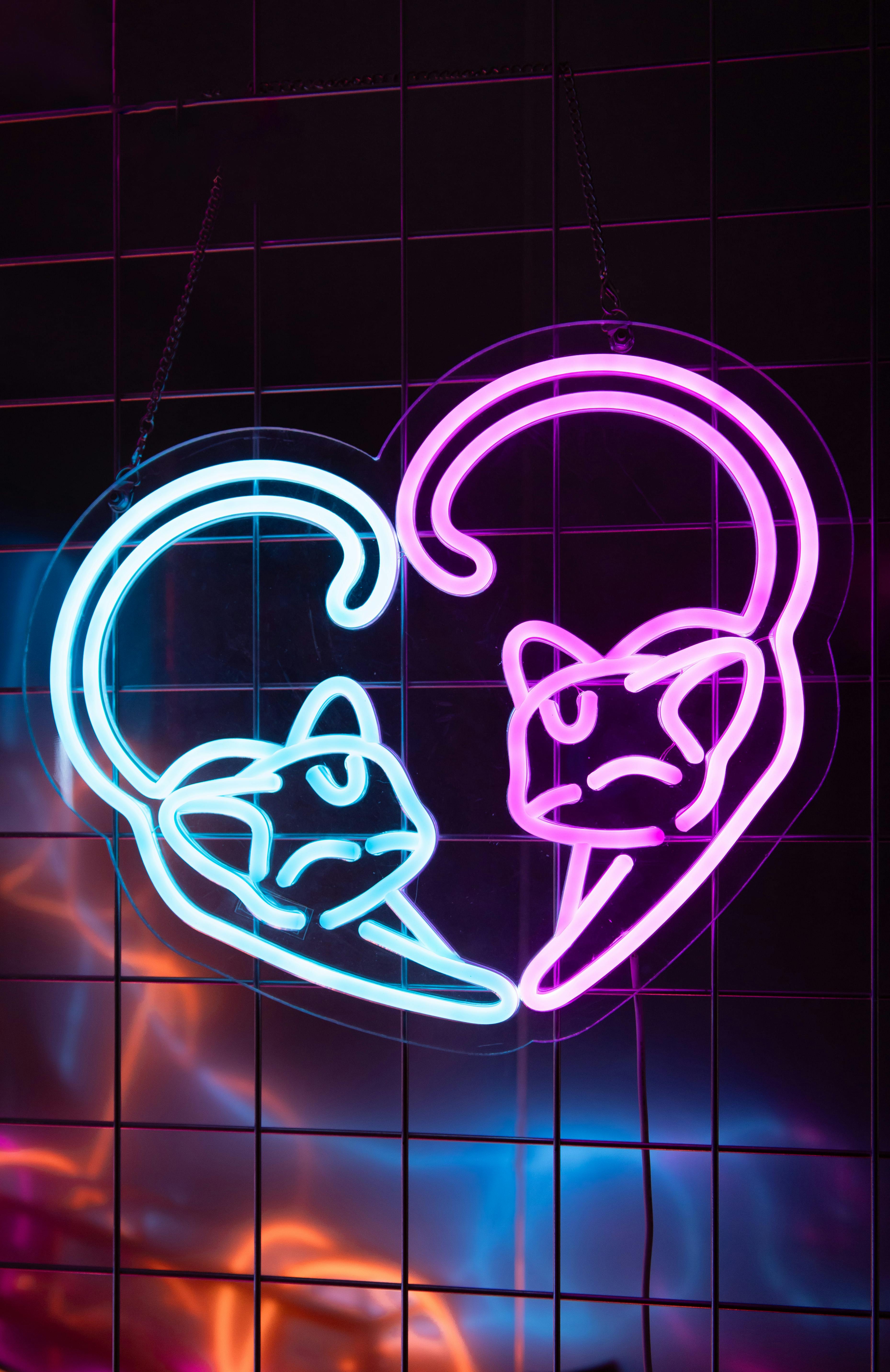 A Modern Neon Sign on a Wall · Free Stock Photo