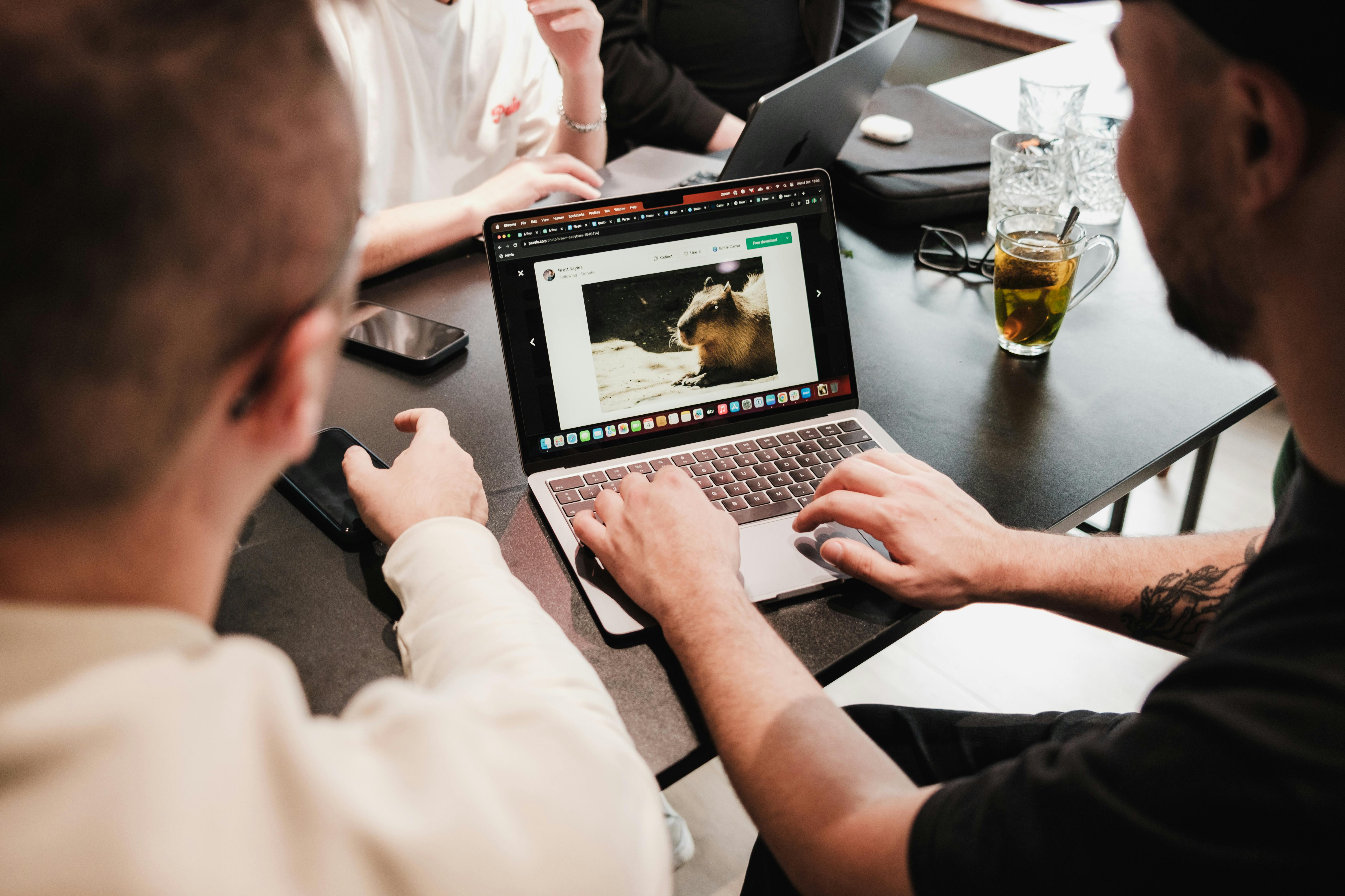 Back View of Men Using Laptop · Free Stock Photo