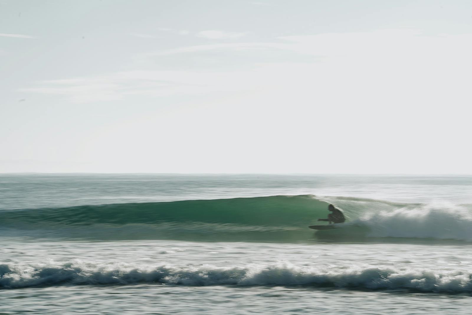 Sea Pin Photos, Download The BEST Free Sea Pin Stock Photos & HD Images