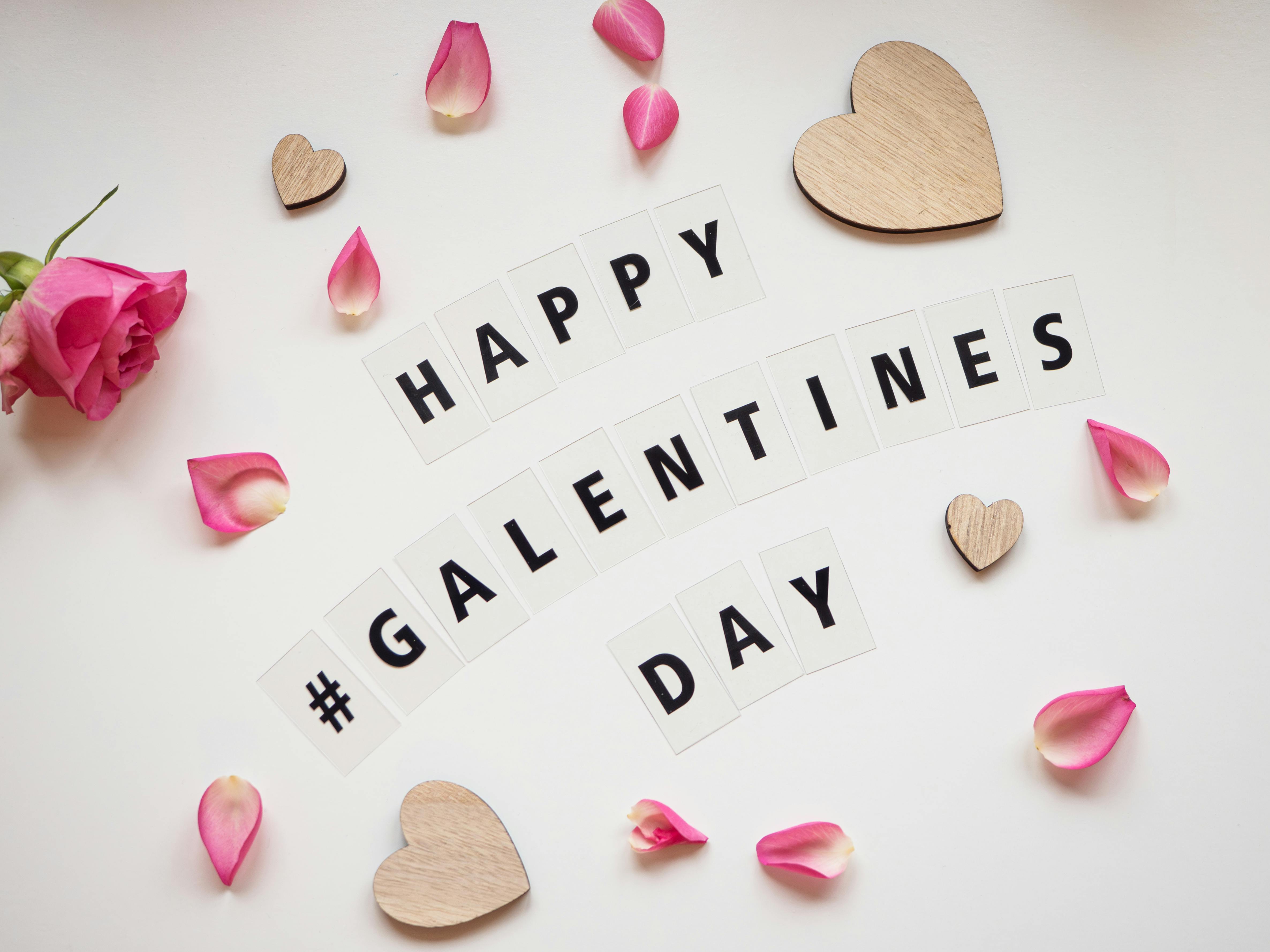 Galentines Day Photos, Download The BEST Free Galentines Day Stock ...