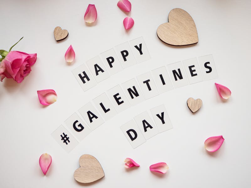 Galentines Day Photos, Download The BEST Free Galentines Day Stock ...