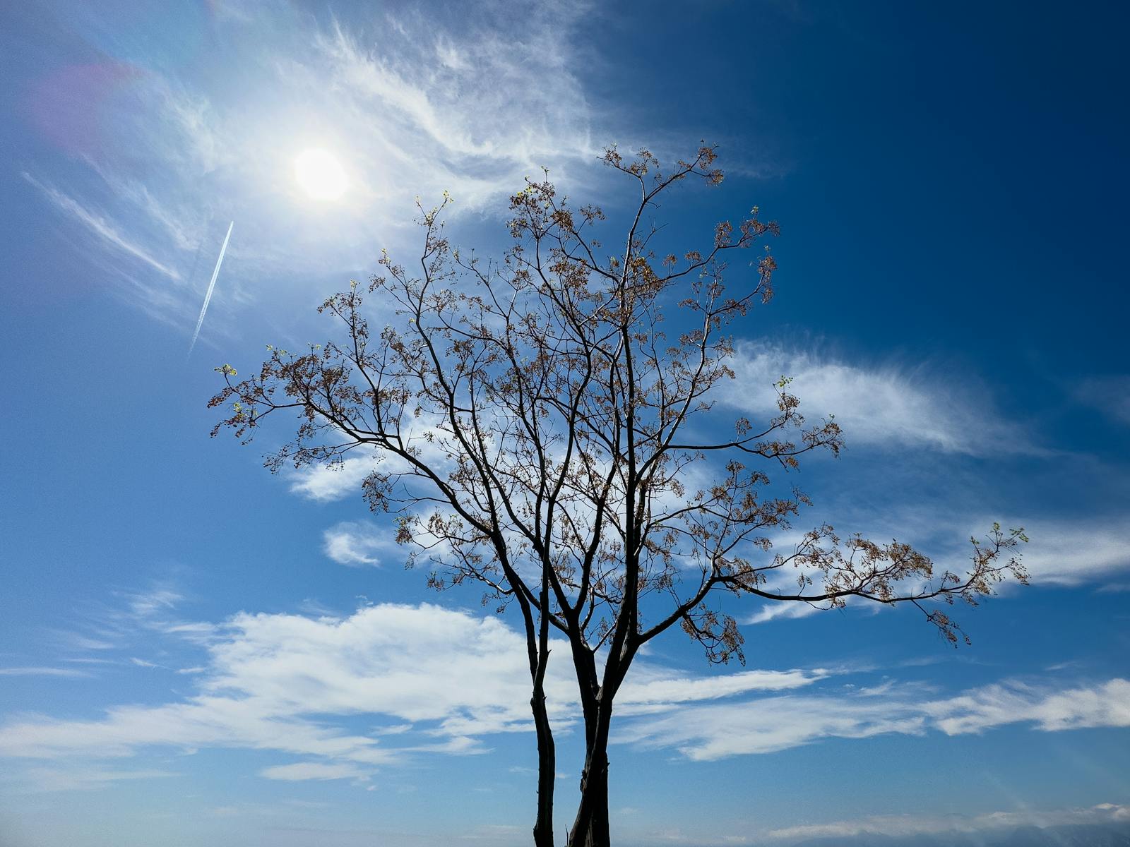 Spring Portugal Photos, Download The BEST Free Spring Portugal Stock ...