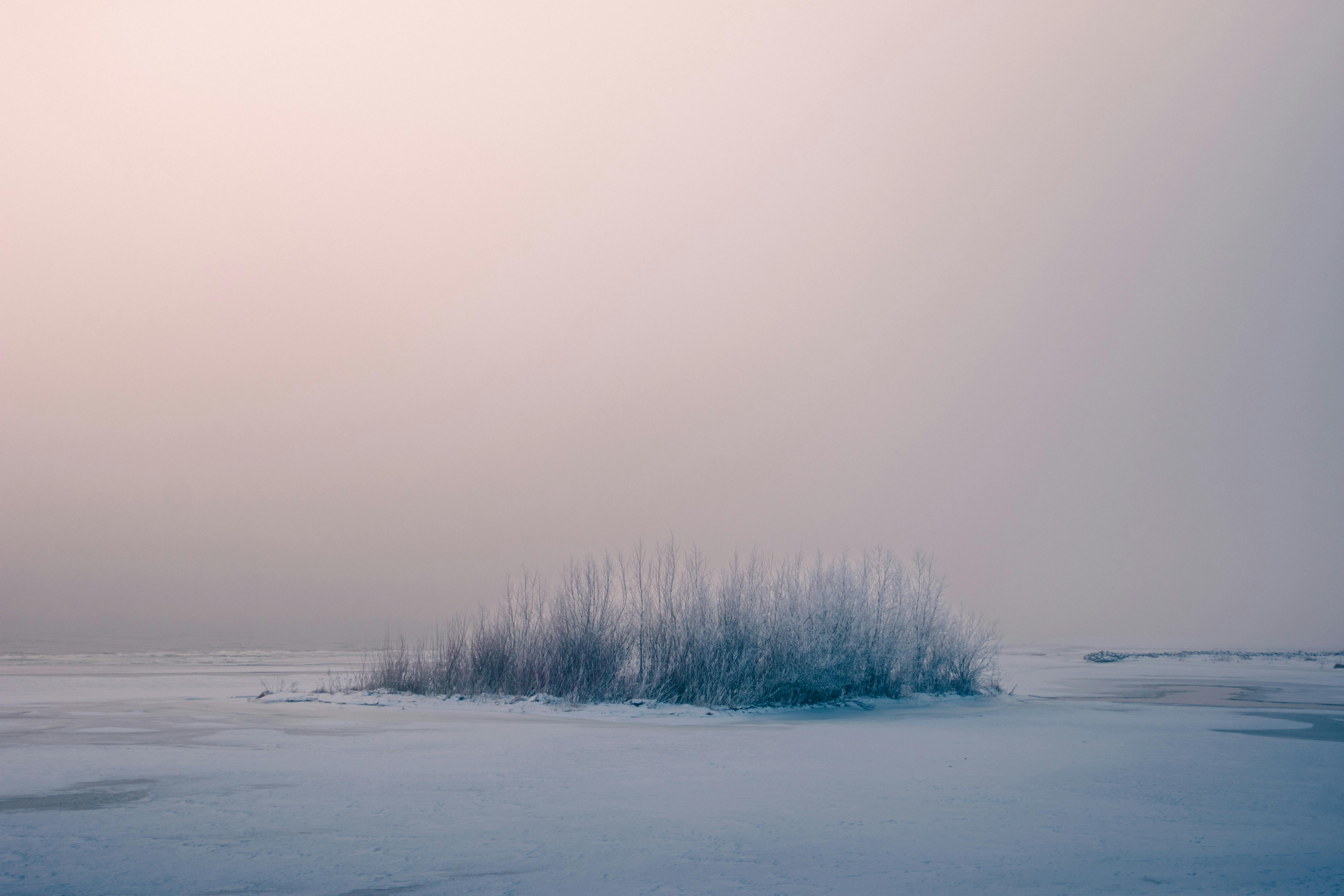 Frozen Fractals Photos, Download The BEST Free Frozen Fractals Stock ...