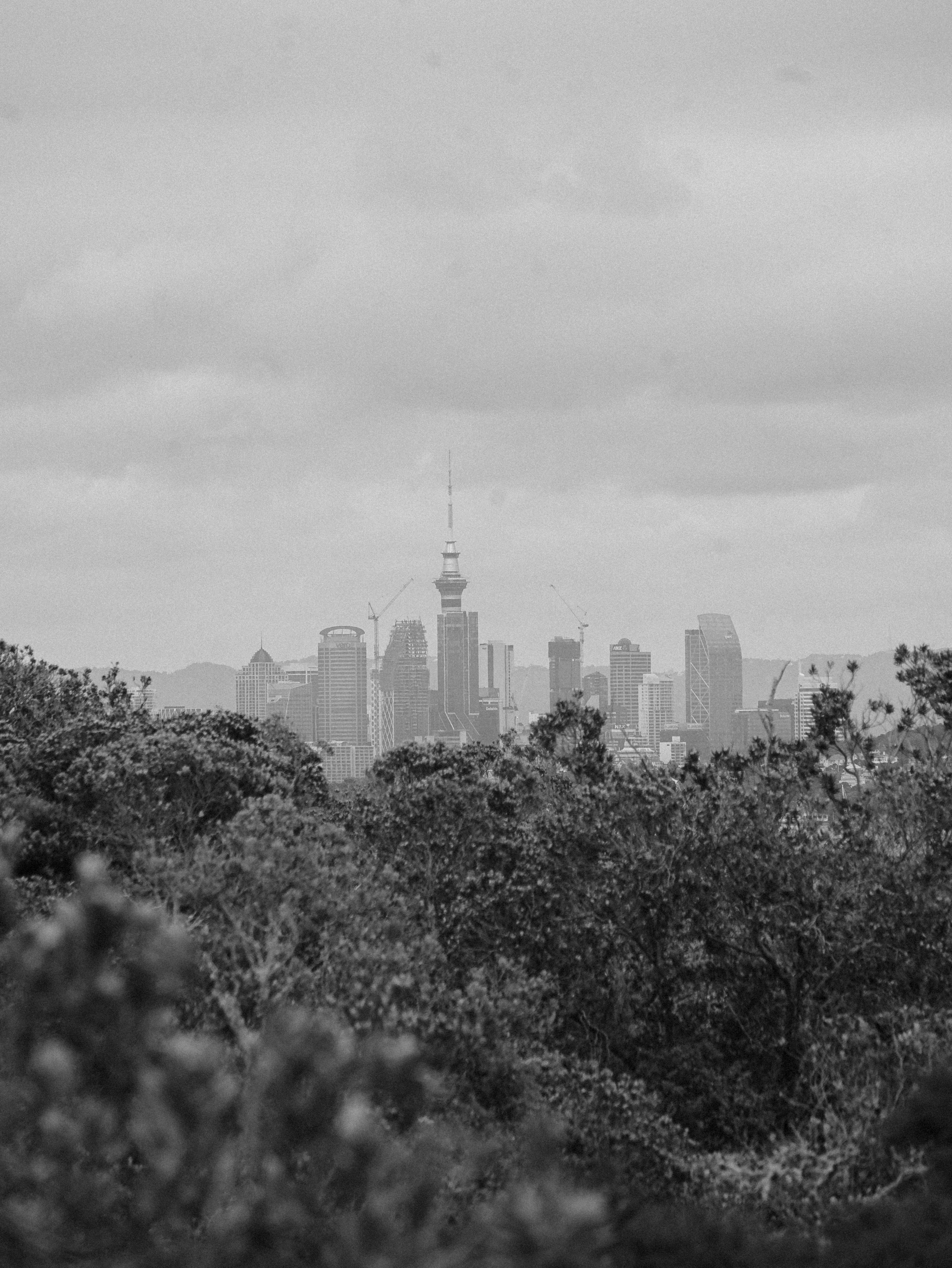 Black and White View of a Modern City · Free Stock Photo