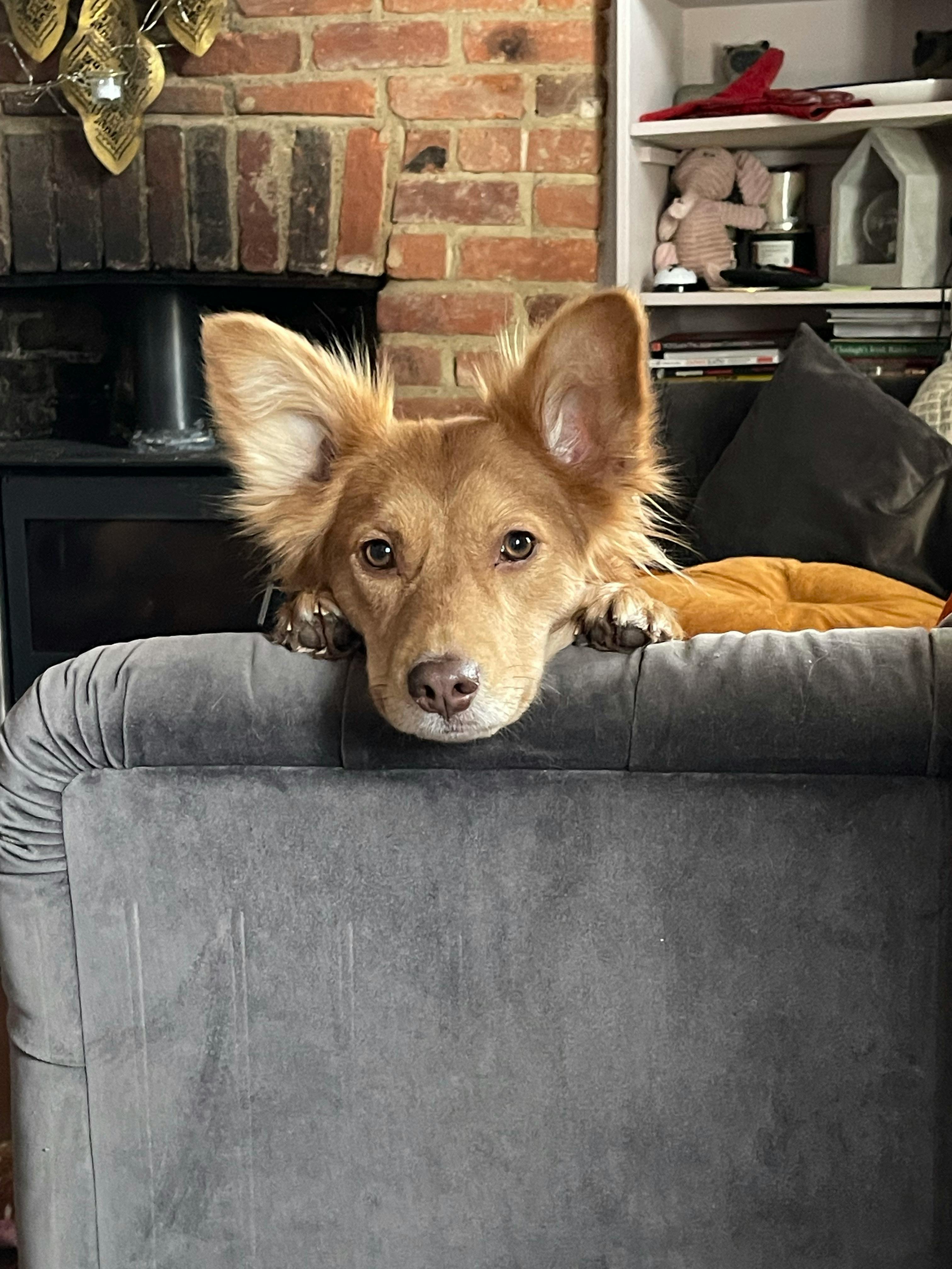 Catherine Harding Wiltshire - Photography