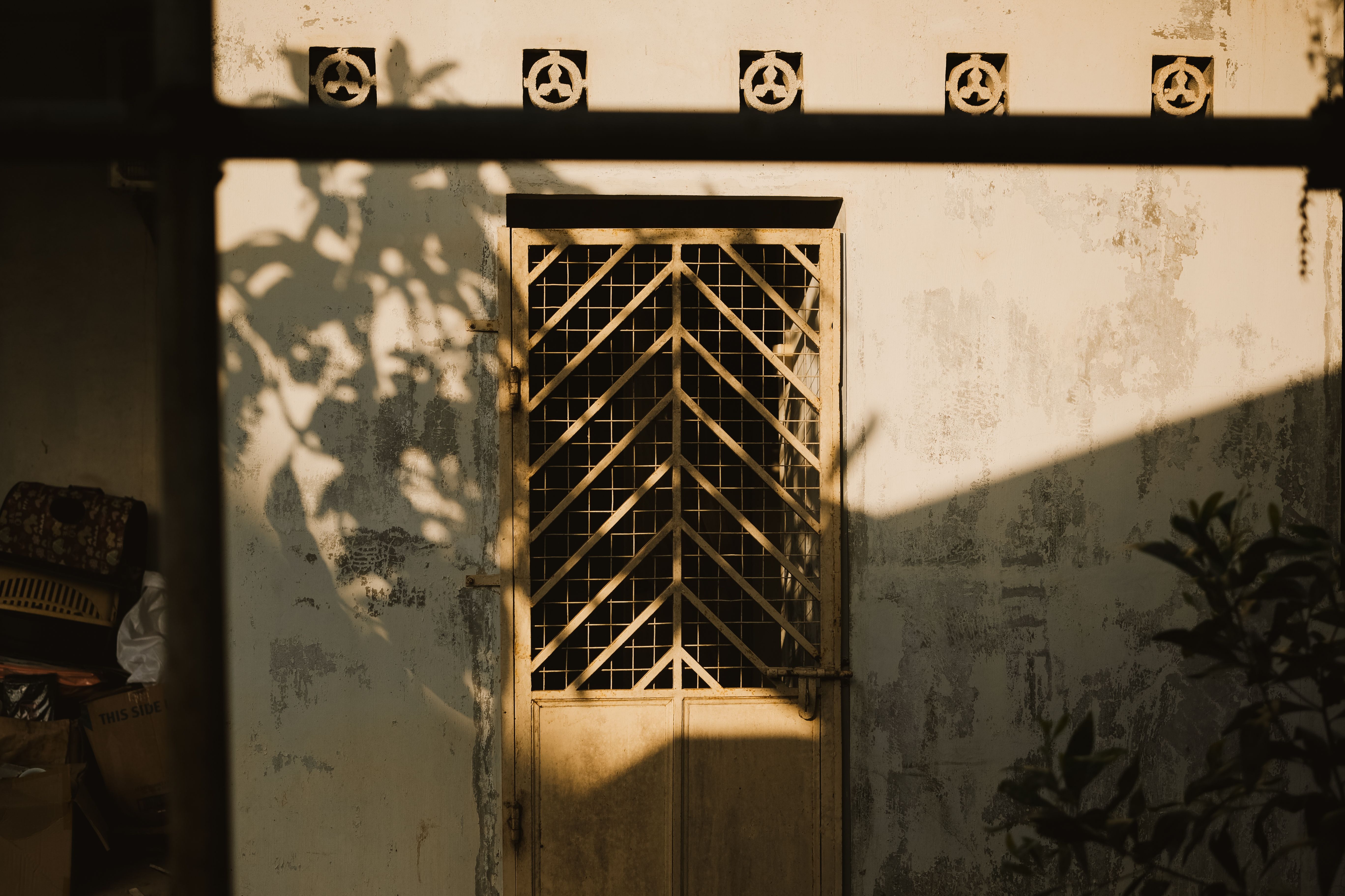 A Tree Casting Shadow on the Wall and Door of an Old Building · Free ...