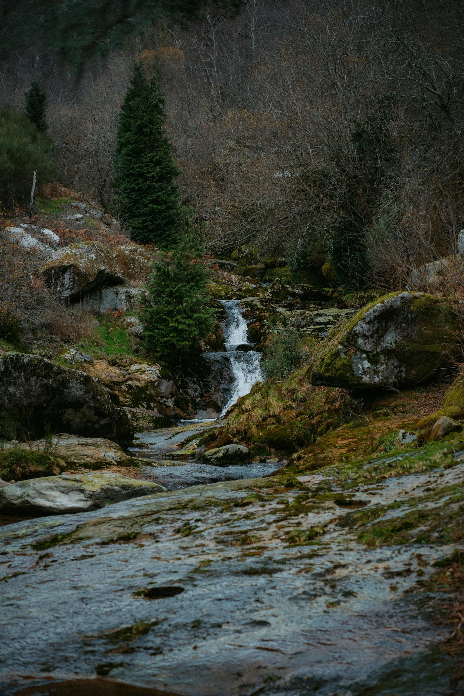 River Stream Photos, Download The BEST Free River Stream Stock Photos ...