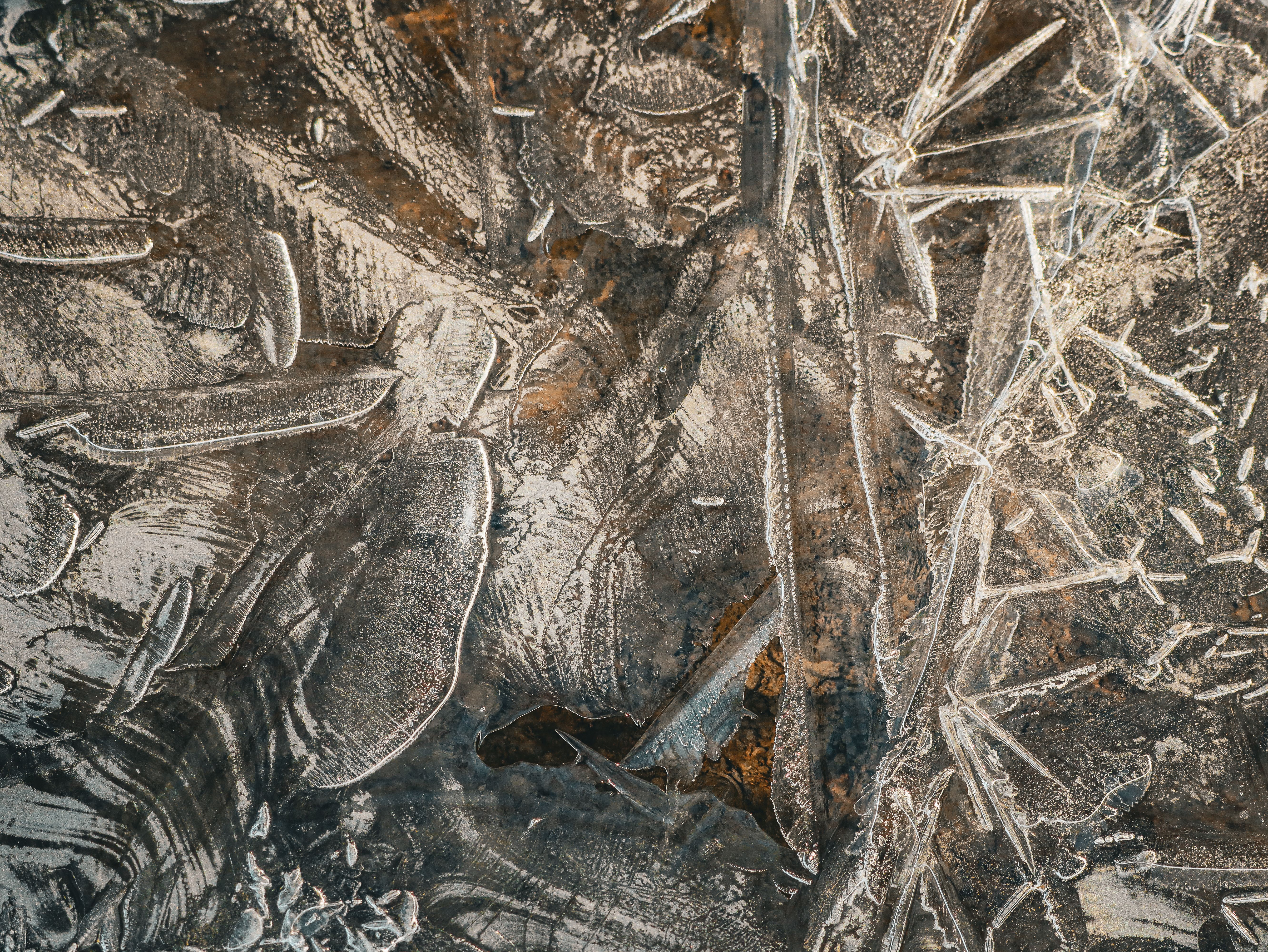 Gray Shapes in Overhead View · Free Stock Photo