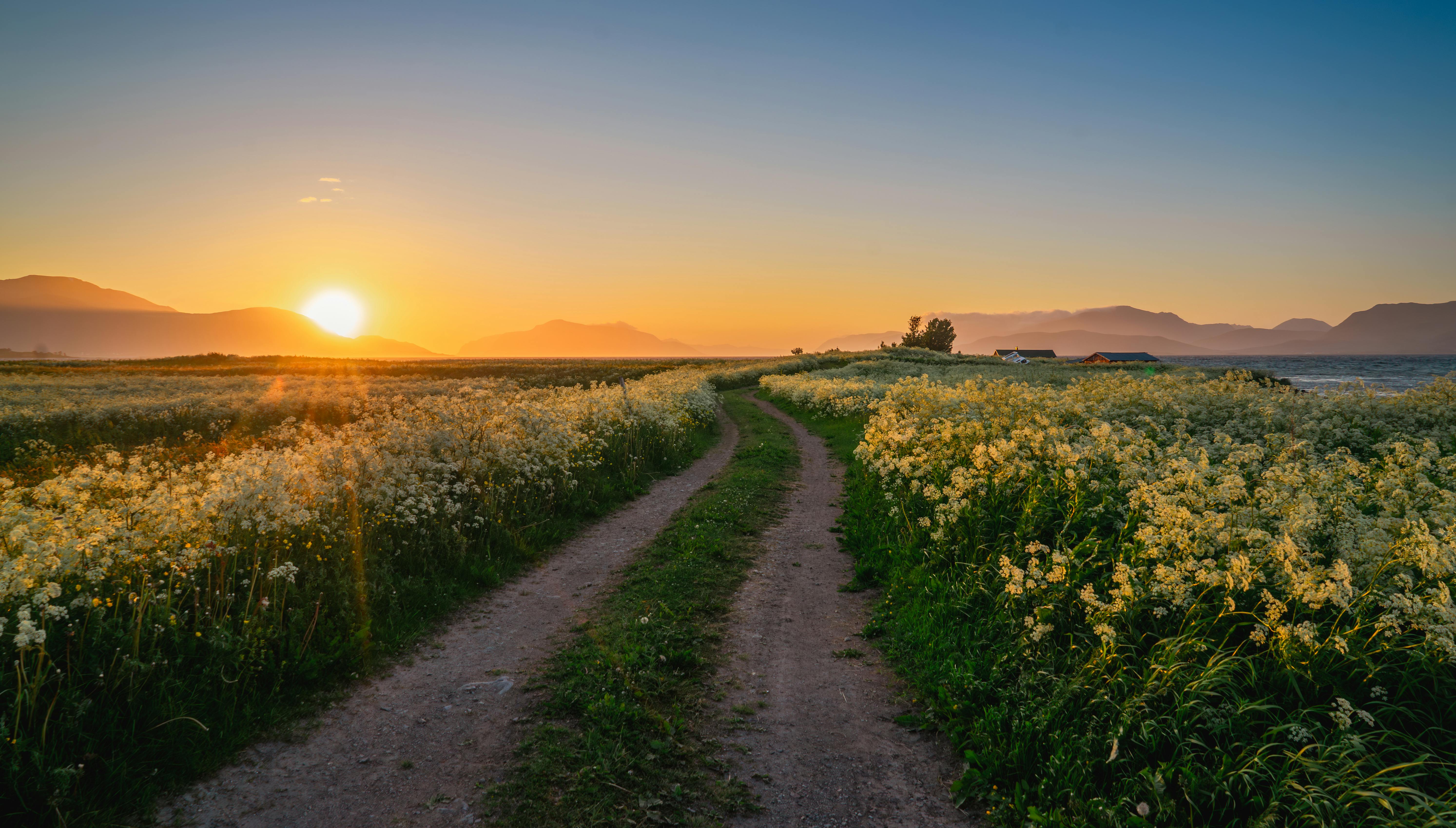 A Country Pathway at Sunset · Free Stock Photo