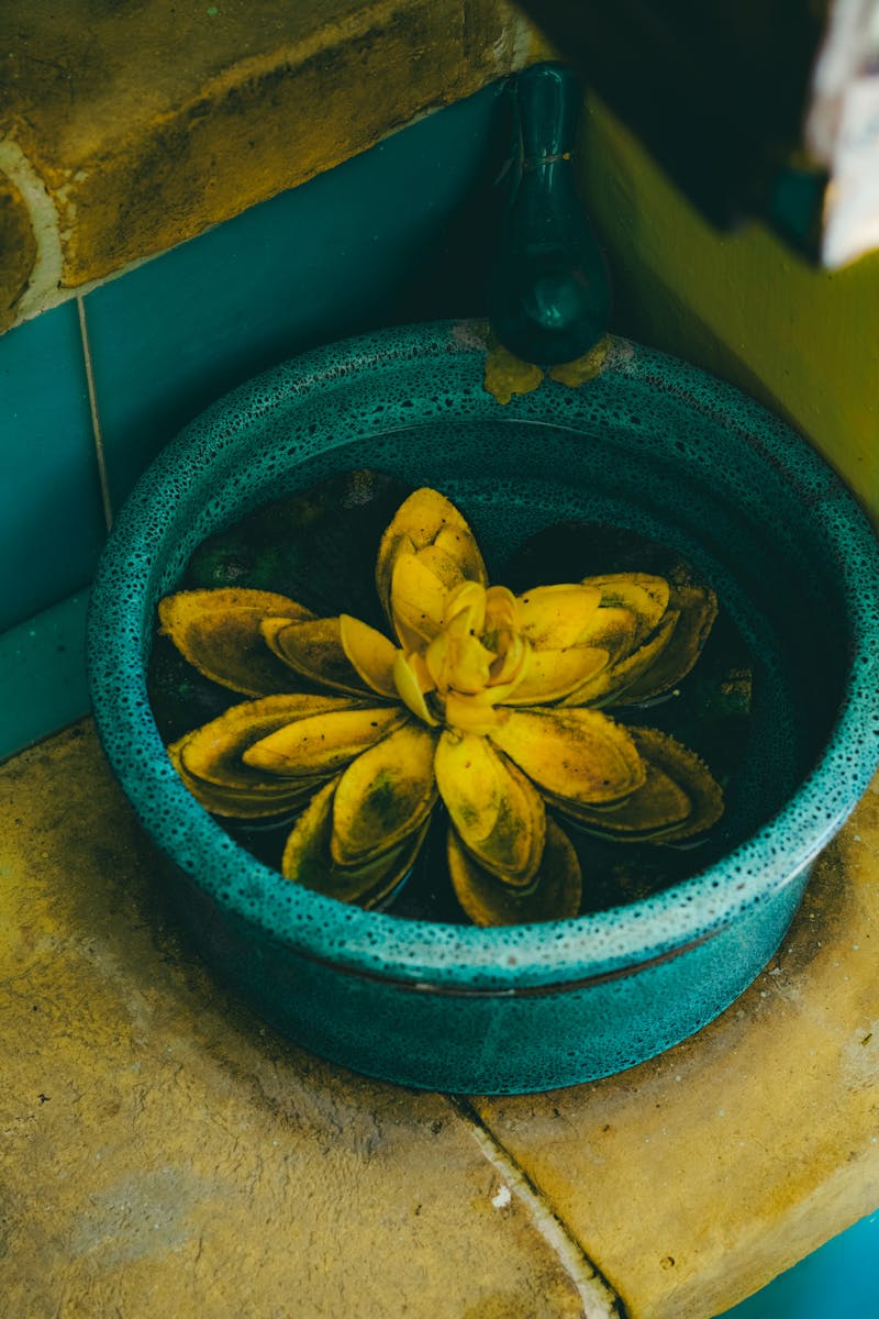 Bucket Photos, Download The BEST Free Bucket Stock Photos & HD Images