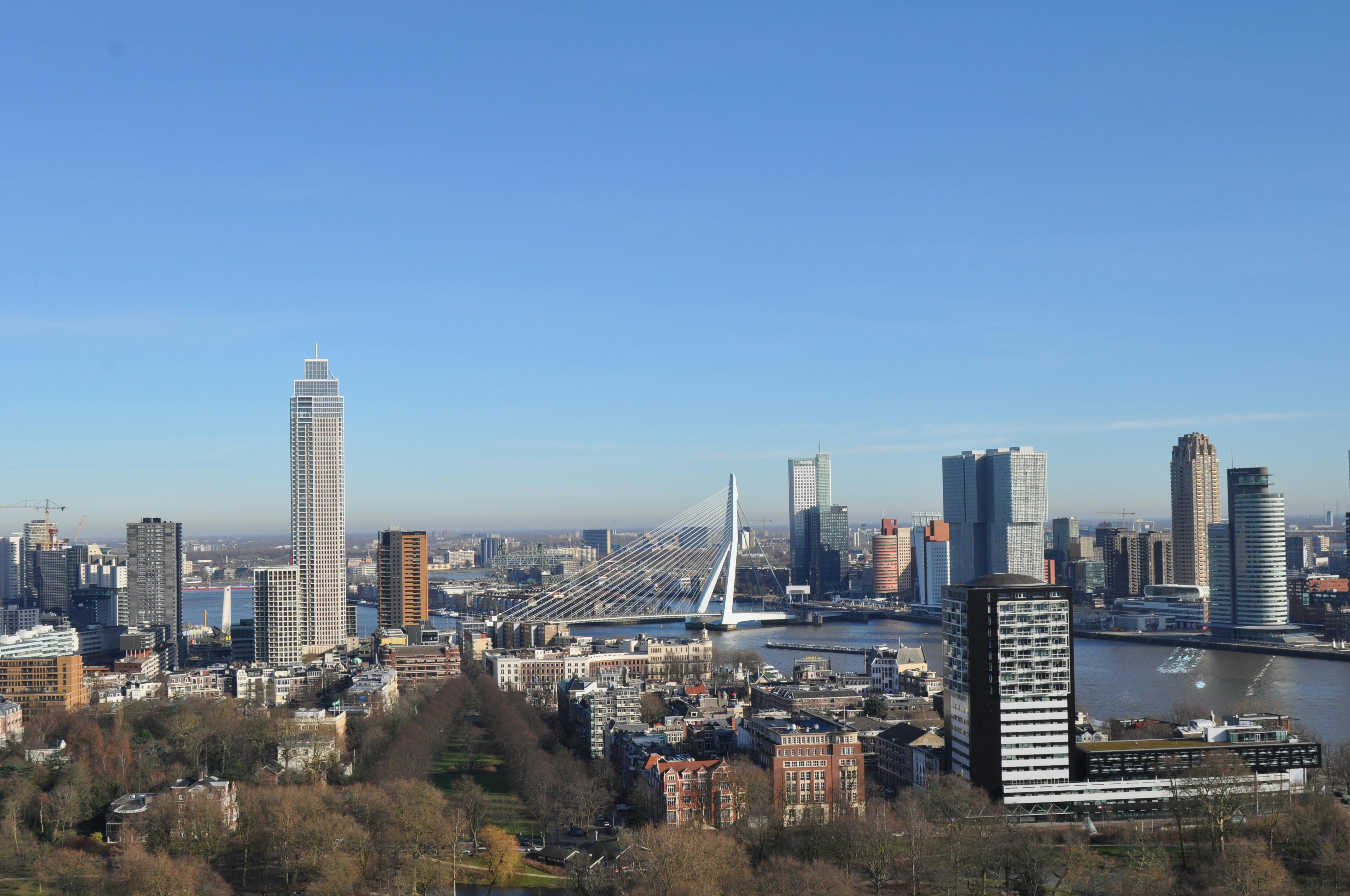 Panoramic View of Downtown Rotterdam, the Netherlands · Free Stock Photo