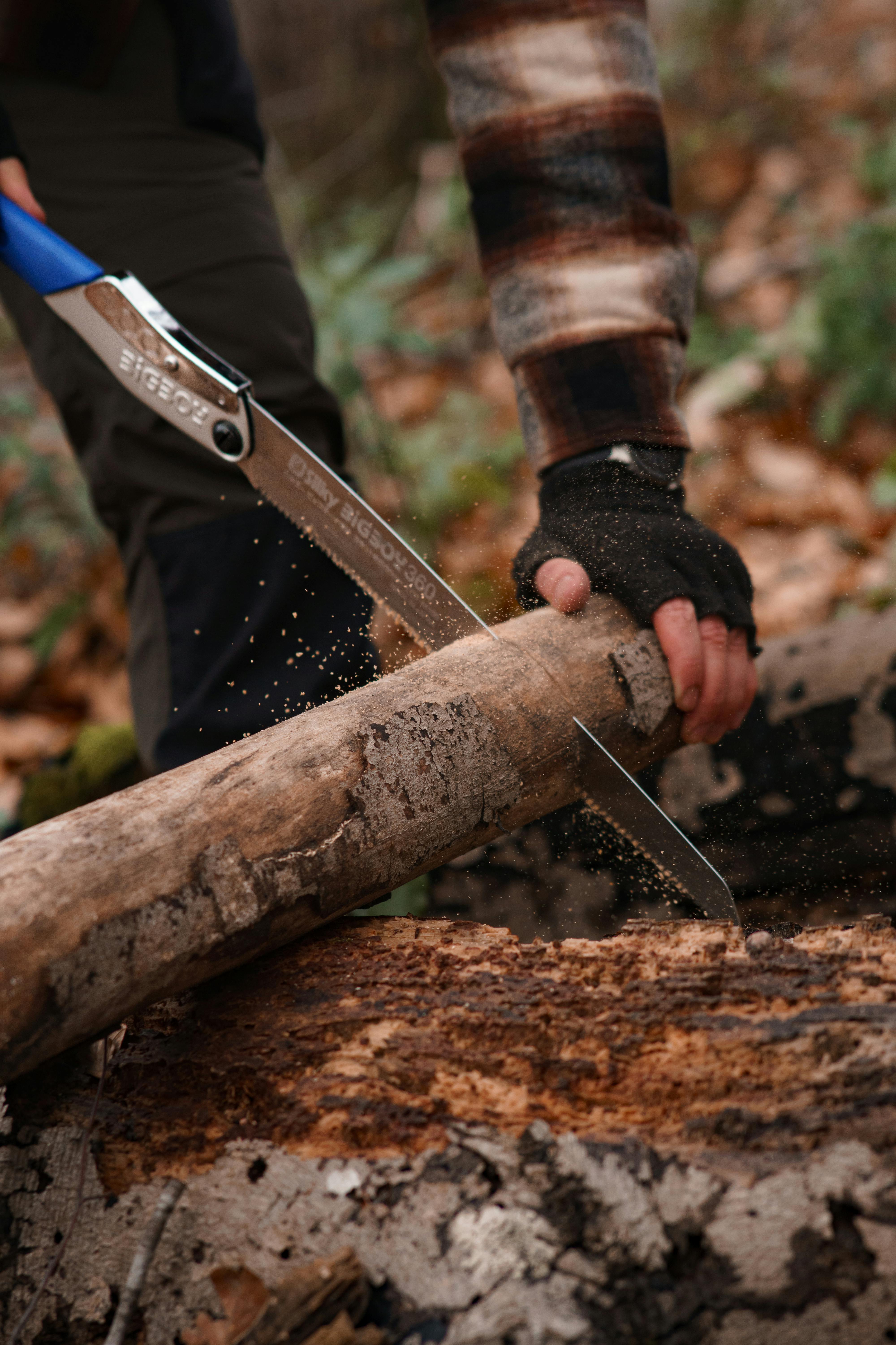 Close-up of a Man Cutting a Branch with a Hand Saw · Free Stock Photo