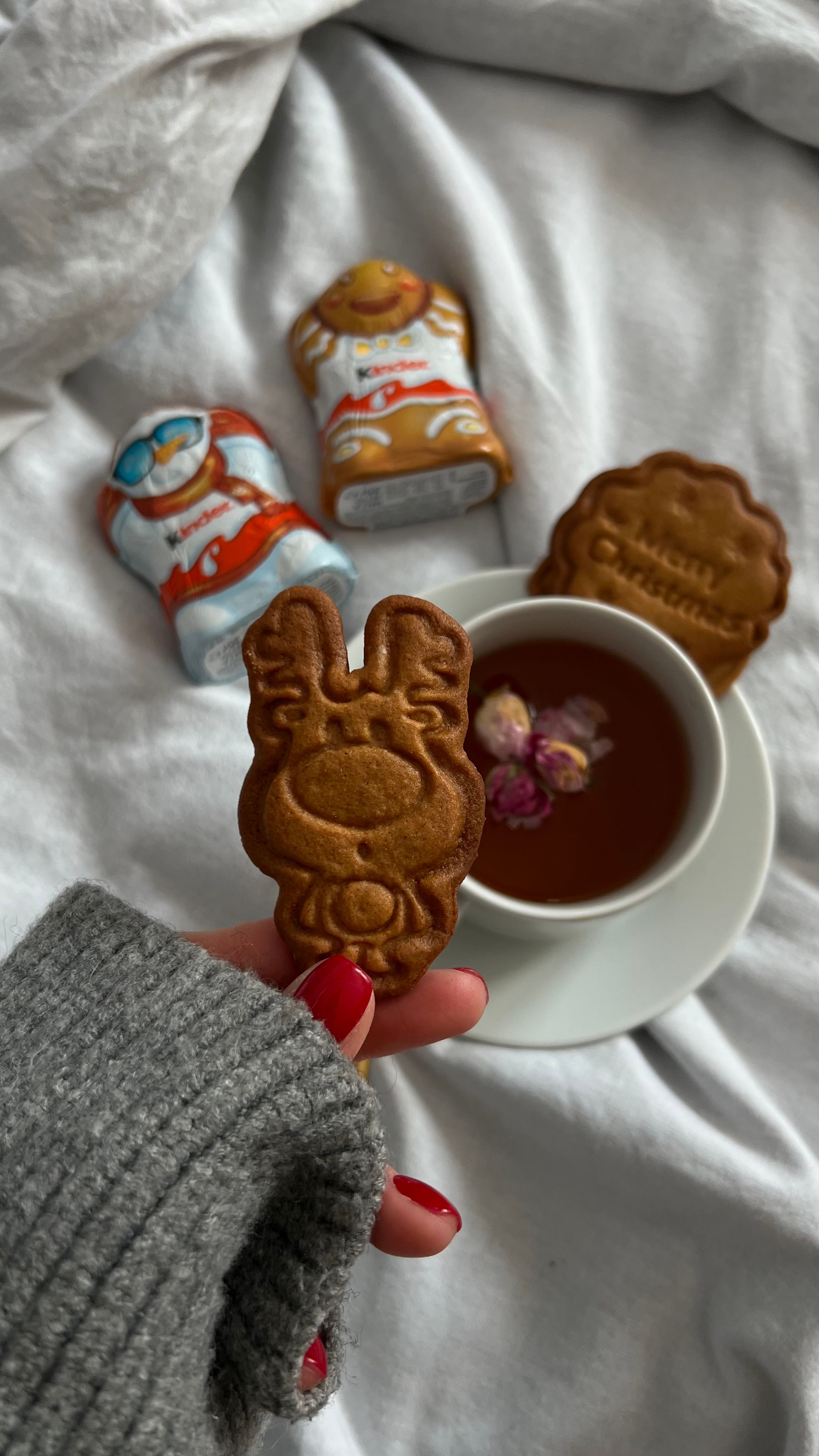 A Person Holding a Cookie · Free Stock Photo