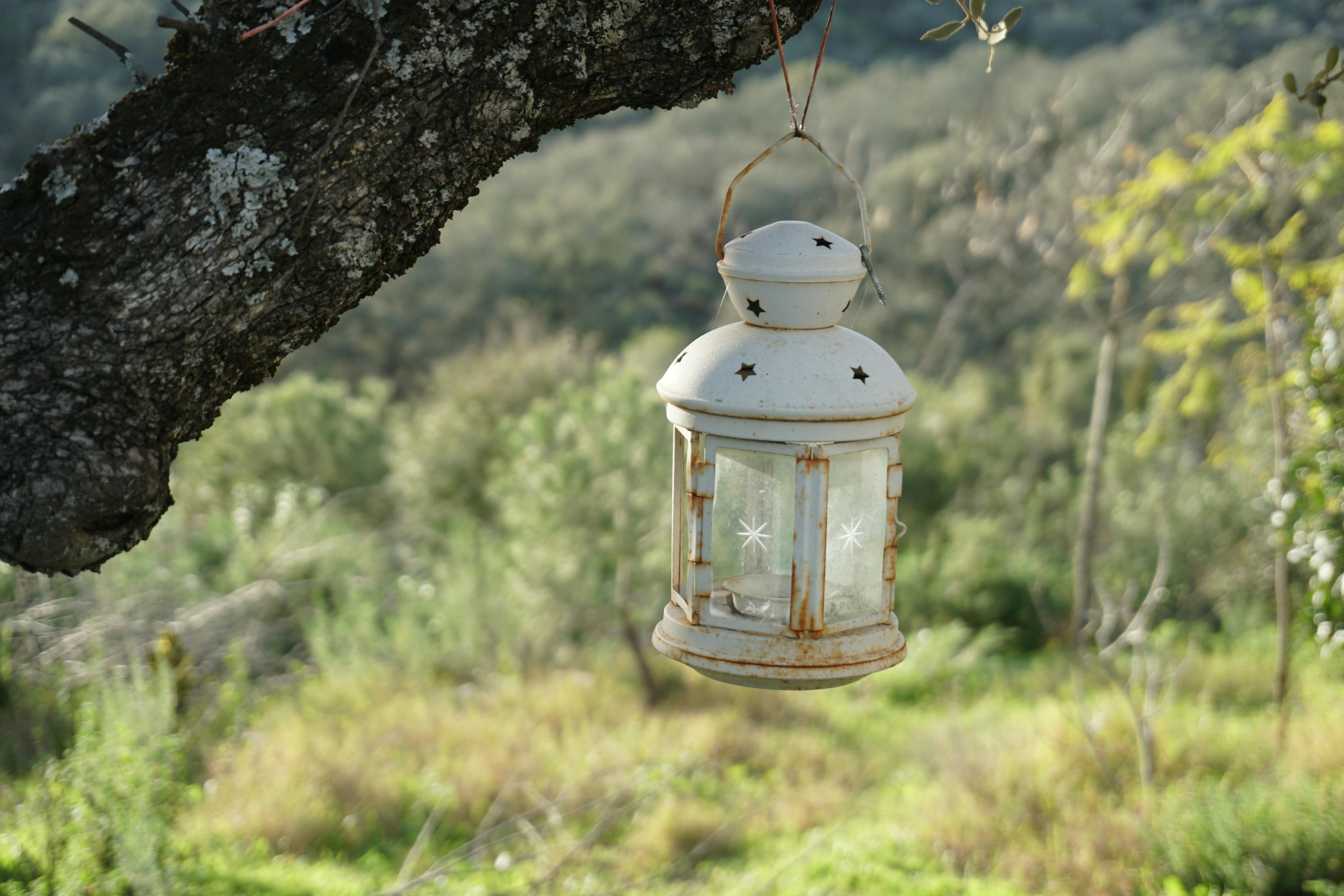 Francisco Torrado - 写真