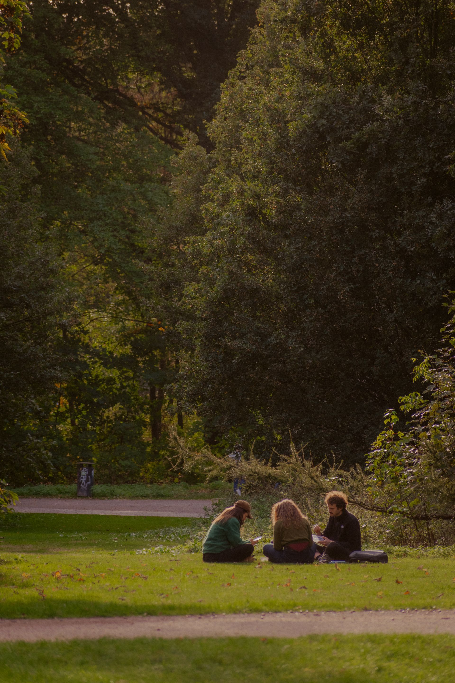 People Sitting in a Park · Free Stock Photo