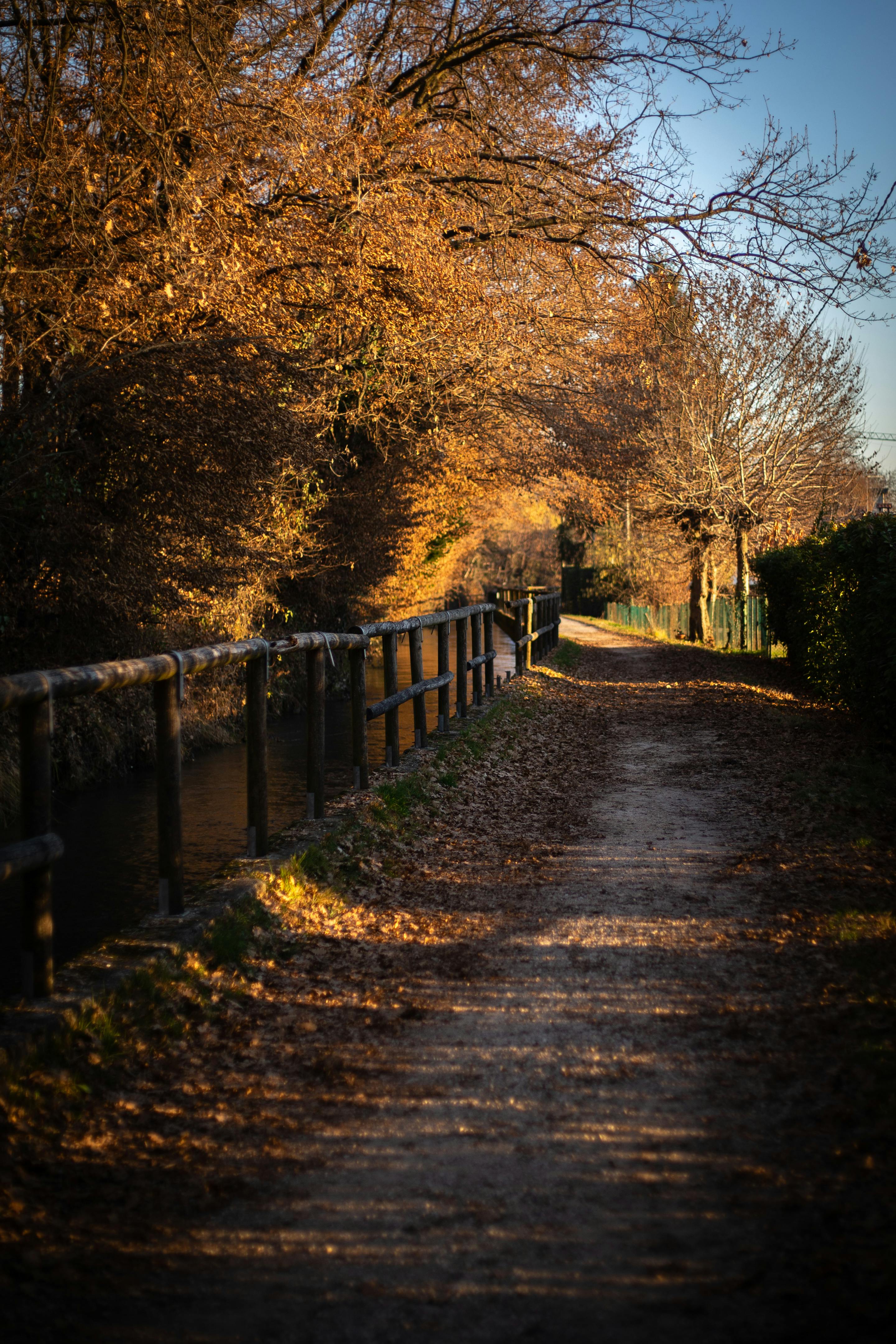 가을, 가을 색, 가을 시즌, 가을 풍경, 경치, 경치 좋은 전망, 경치가 좋은, 계절, 계절의 변화, 고요한, 골든 아워, 권선 경로, 그림 같은, 길, 나무, 나뭇잎 ...