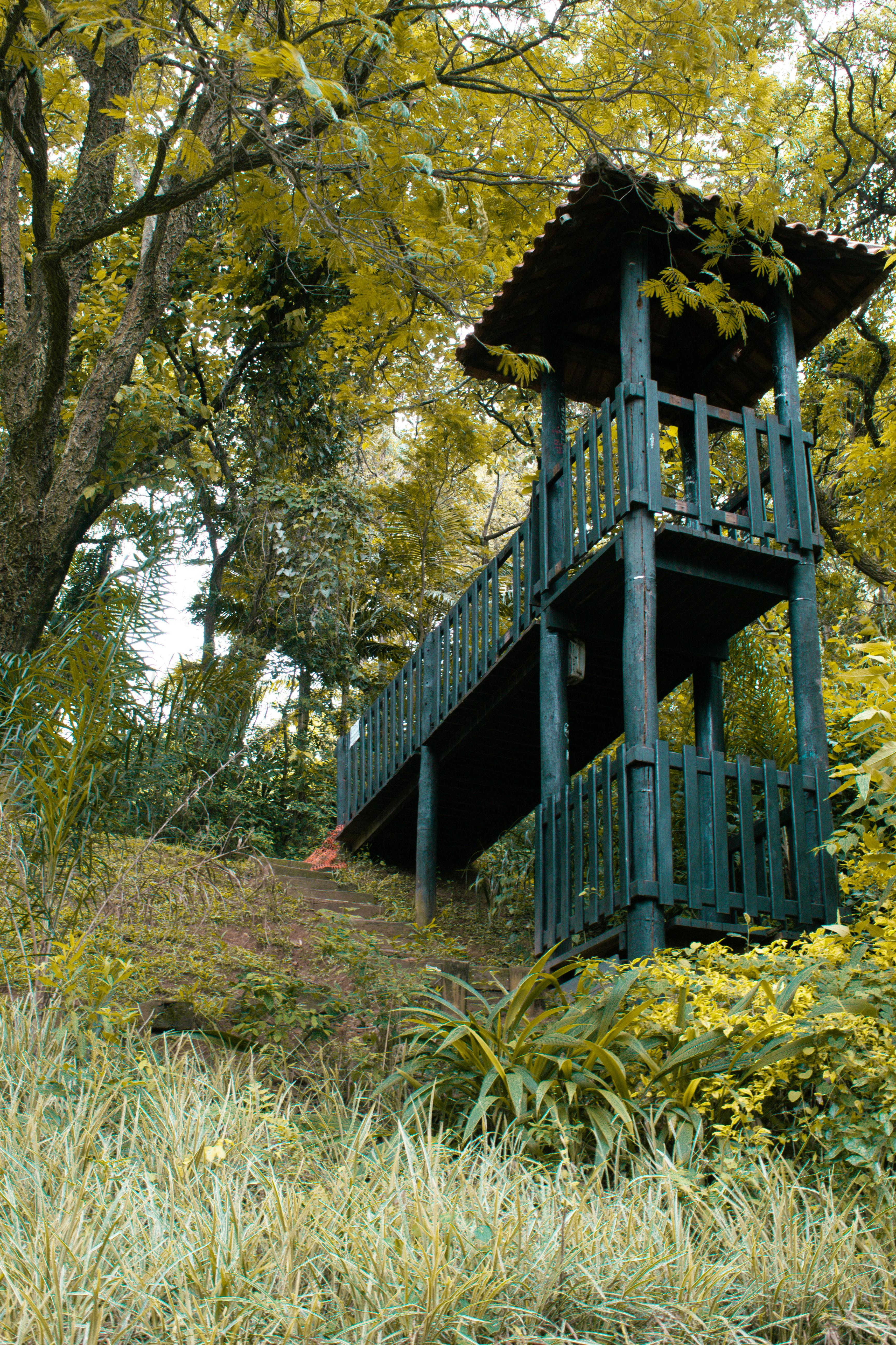 Wooden Tower in a Forest · Free Stock Photo