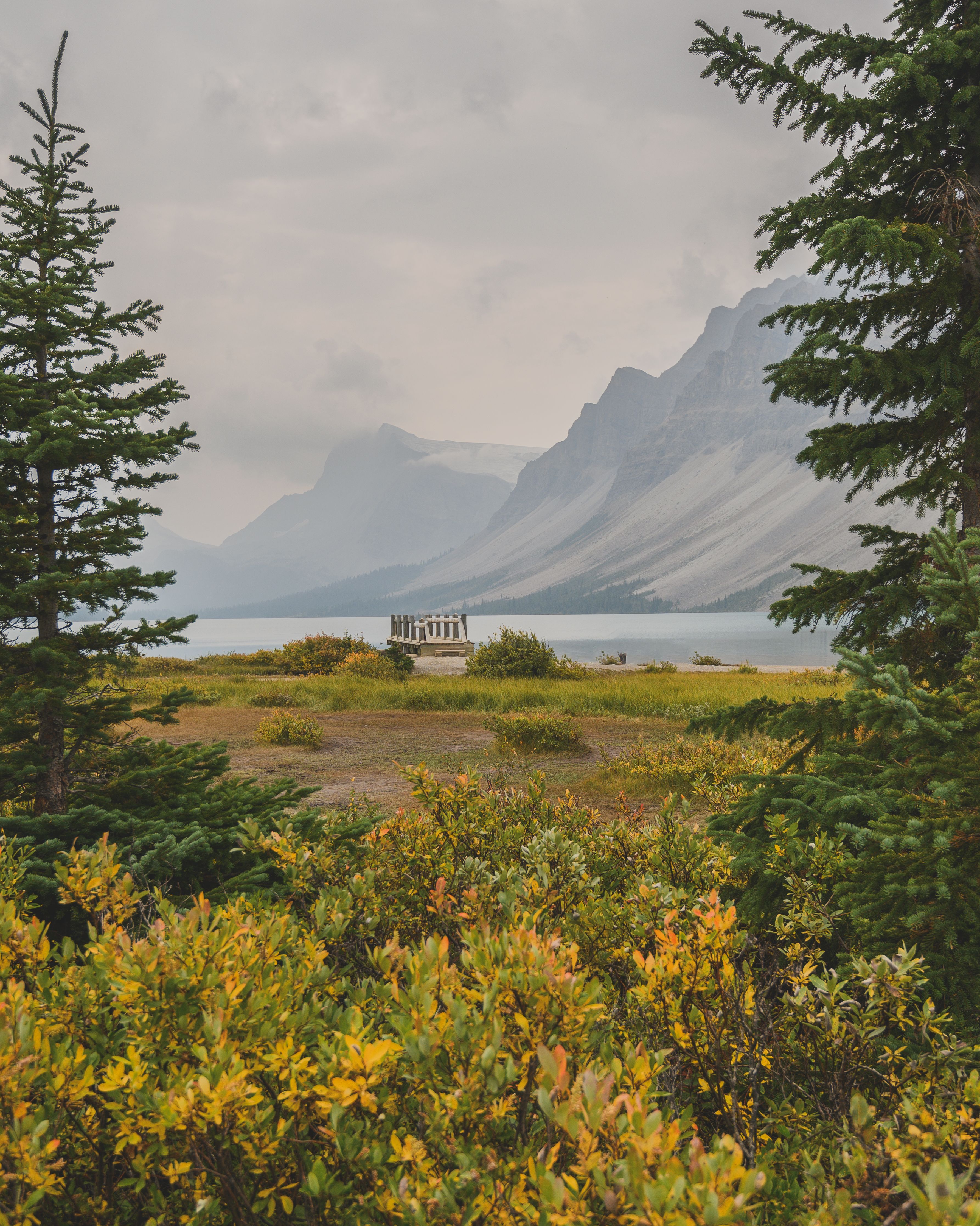 Mountains and Trees in Banff National Park in Canada · Free Stock Photo