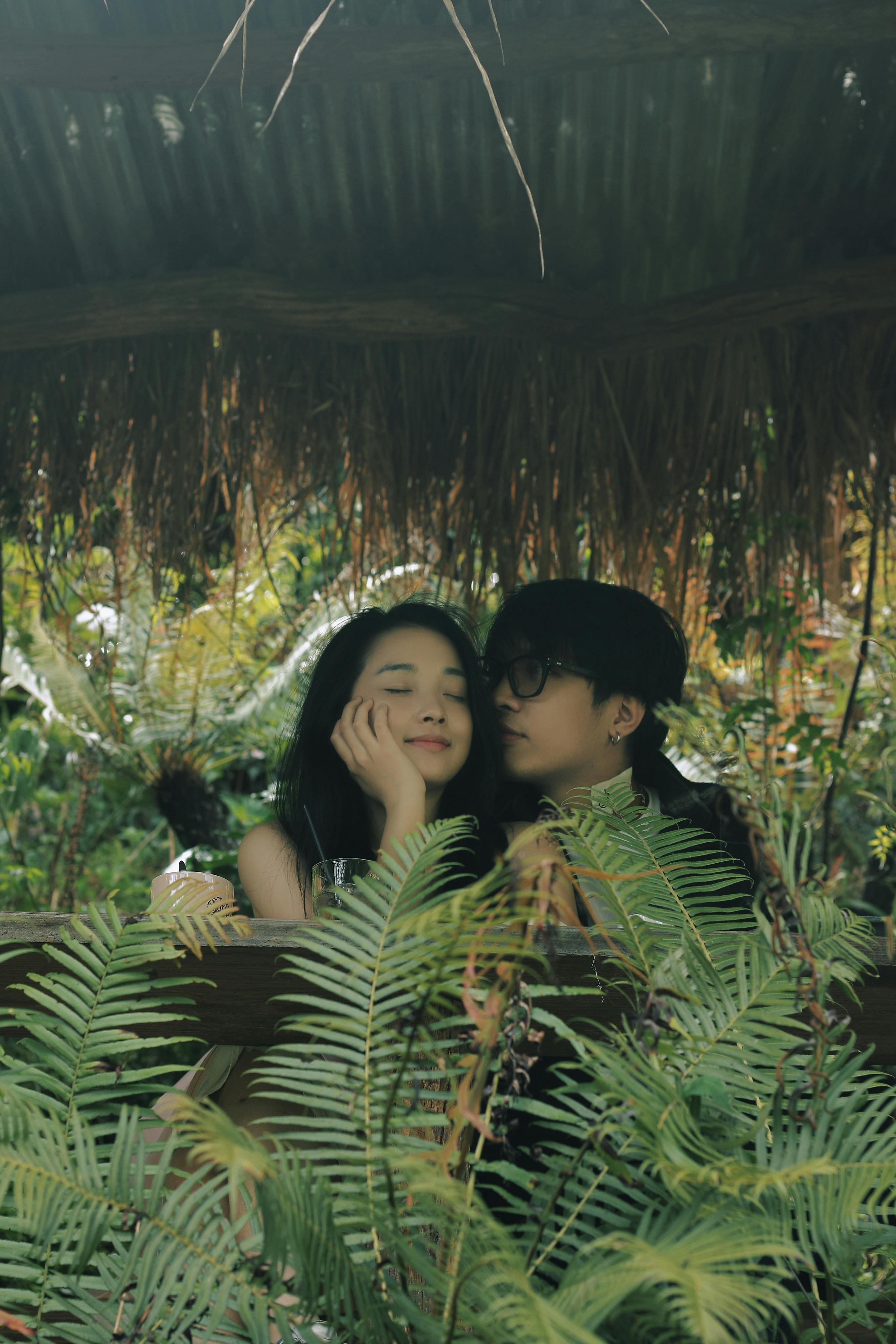 Fern Task Photos, Download The BEST Free Fern Task Stock Photos & HD Images