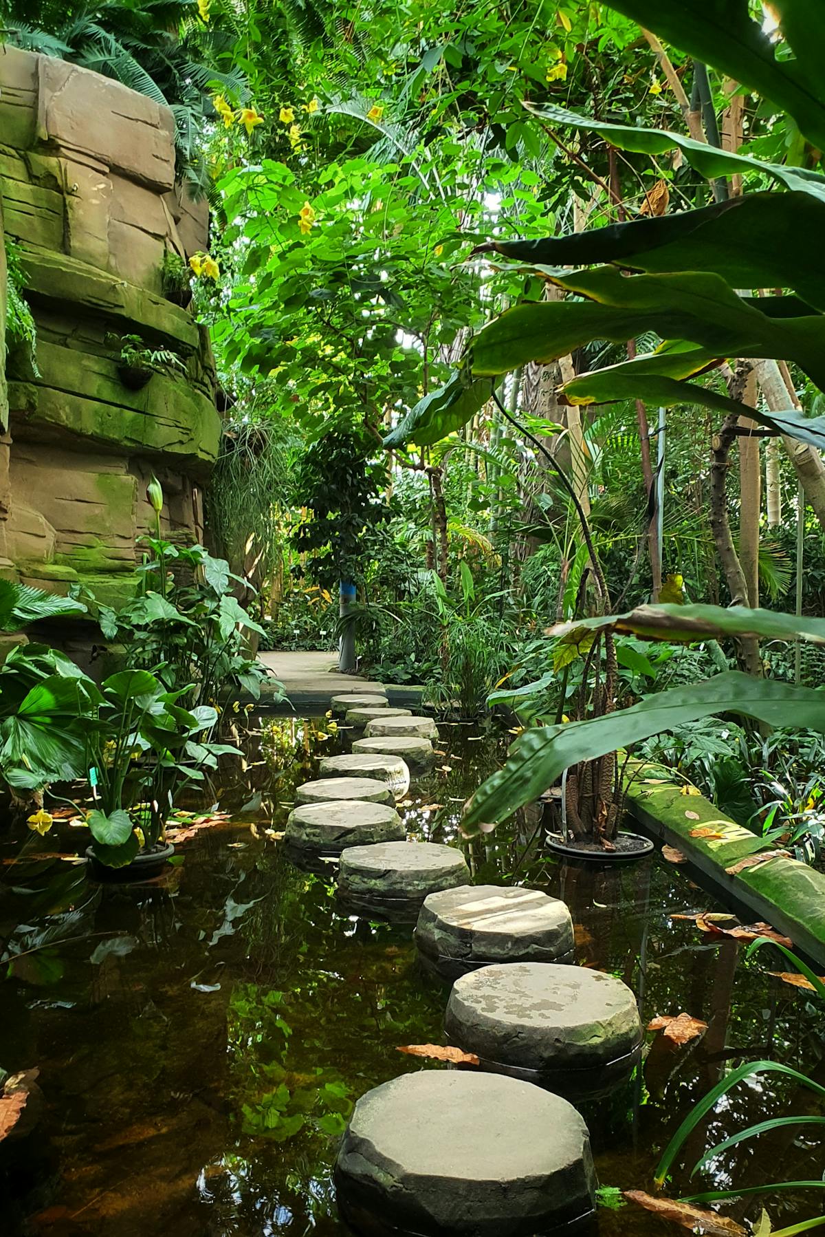 Botanical Garden Photos, Download The BEST Free Botanical Garden Stock ...