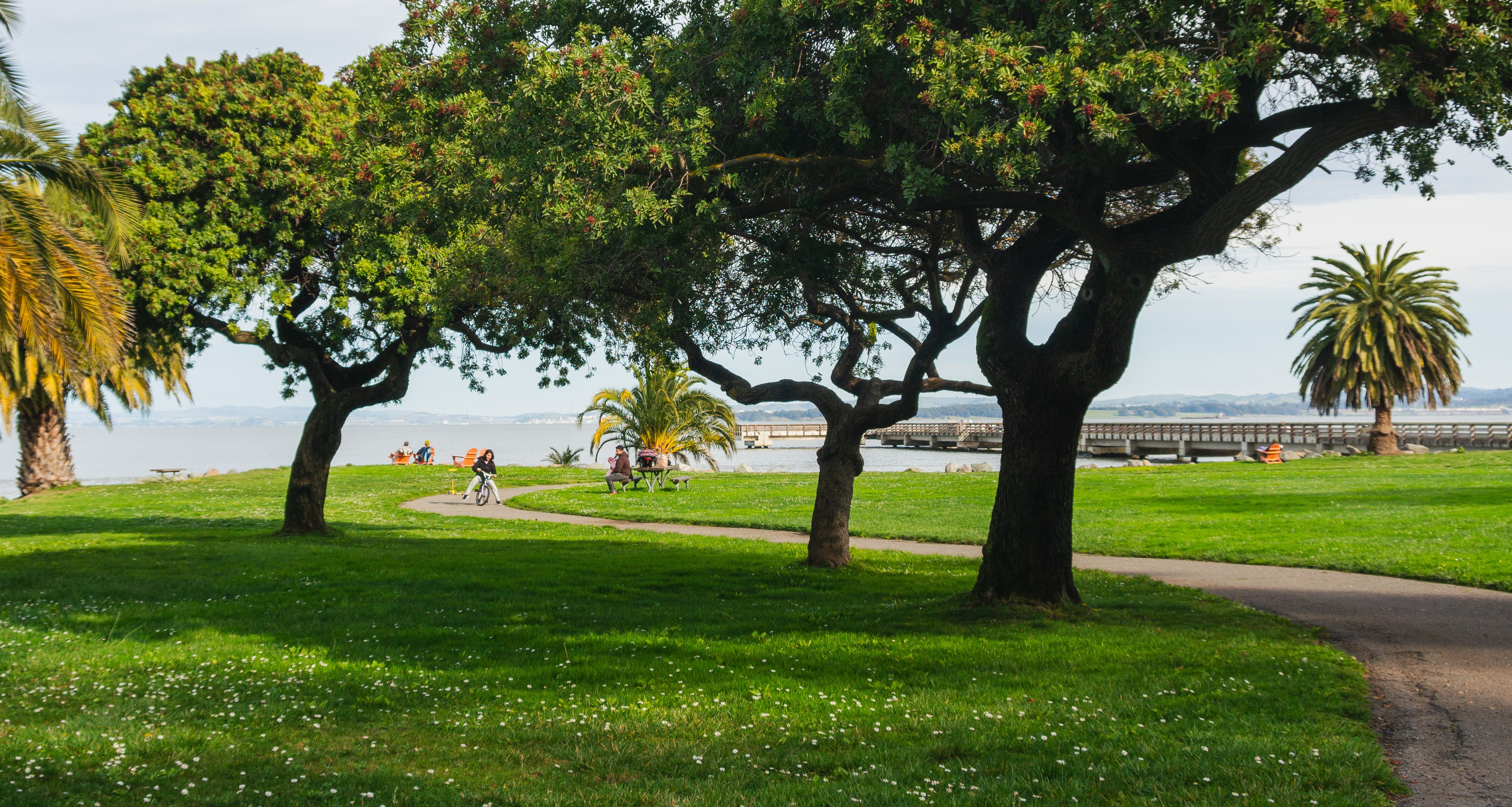 Scenic Park with a Lake in the Distance · Free Stock Photo