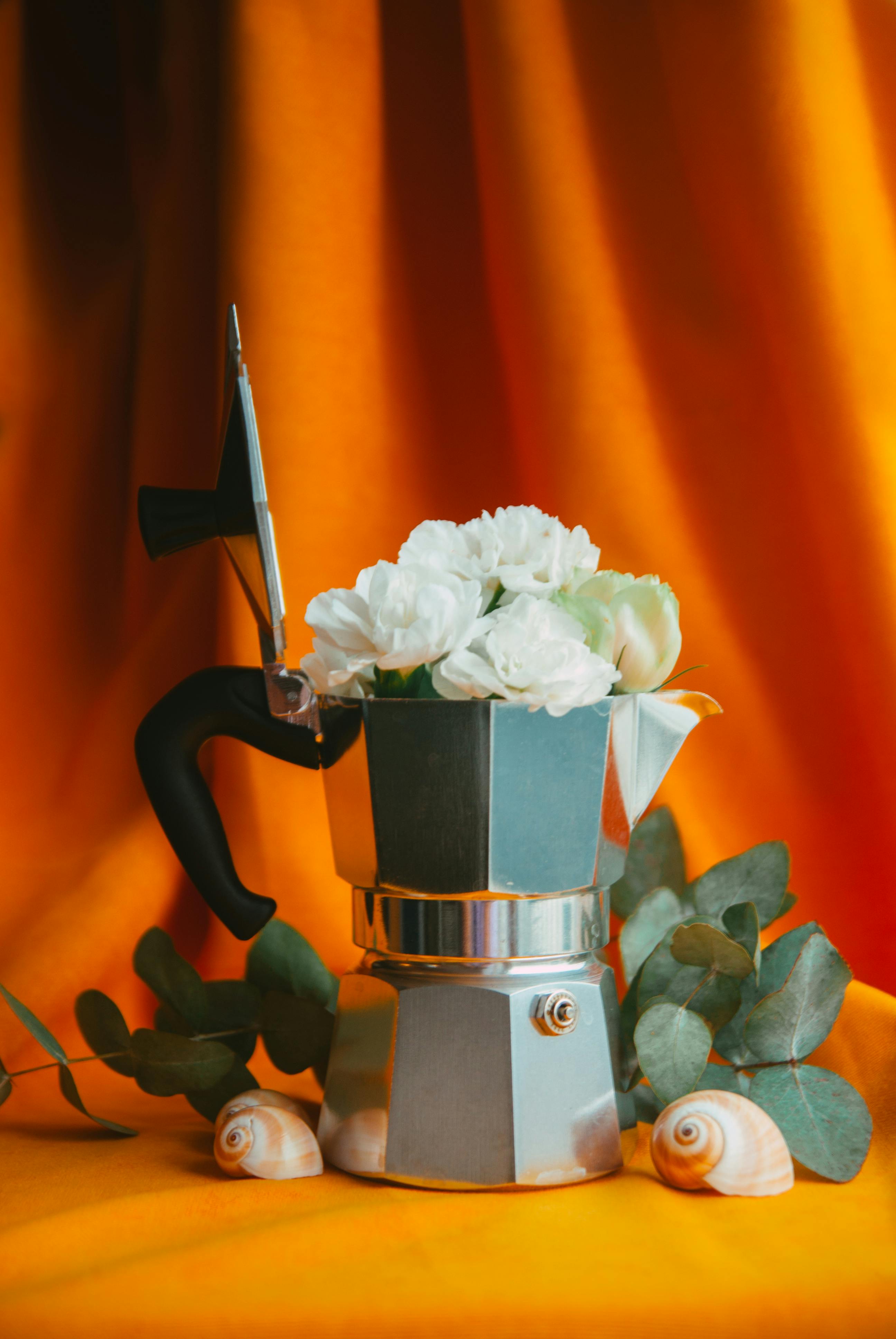 Mannen Open Photos, Download The BEST Free Mannen Open Stock Photos ...