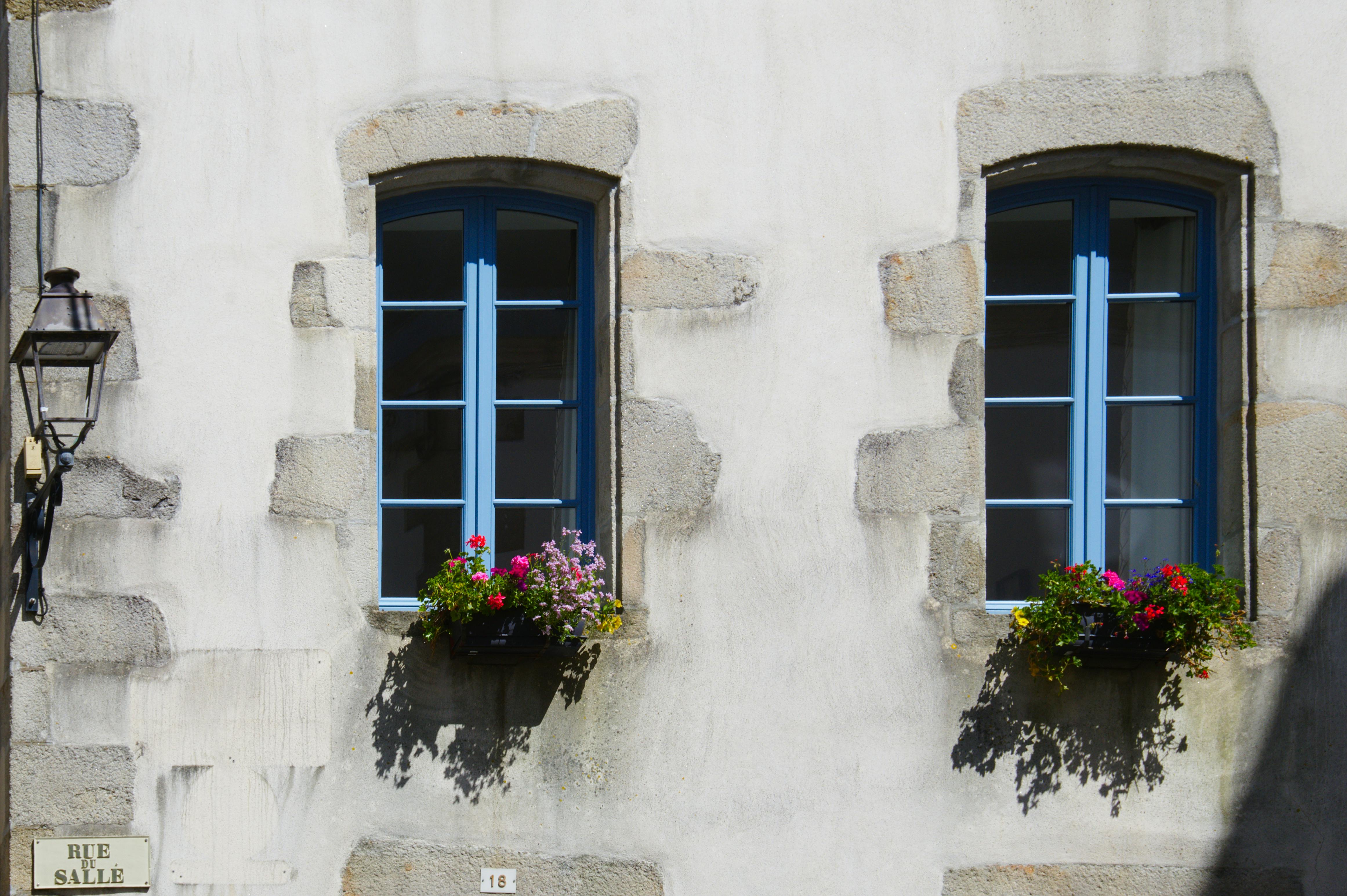 Flowers on House Windows · Free Stock Photo