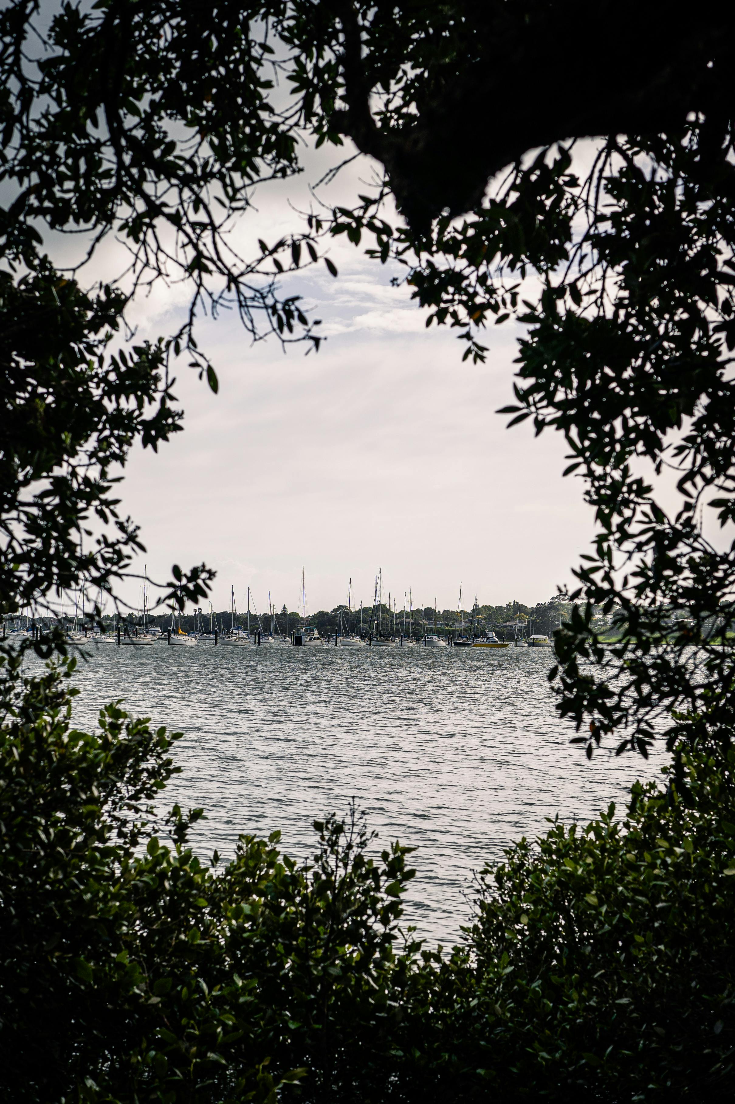 Tan Boats Photos, Download The BEST Free Tan Boats Stock Photos & HD Images