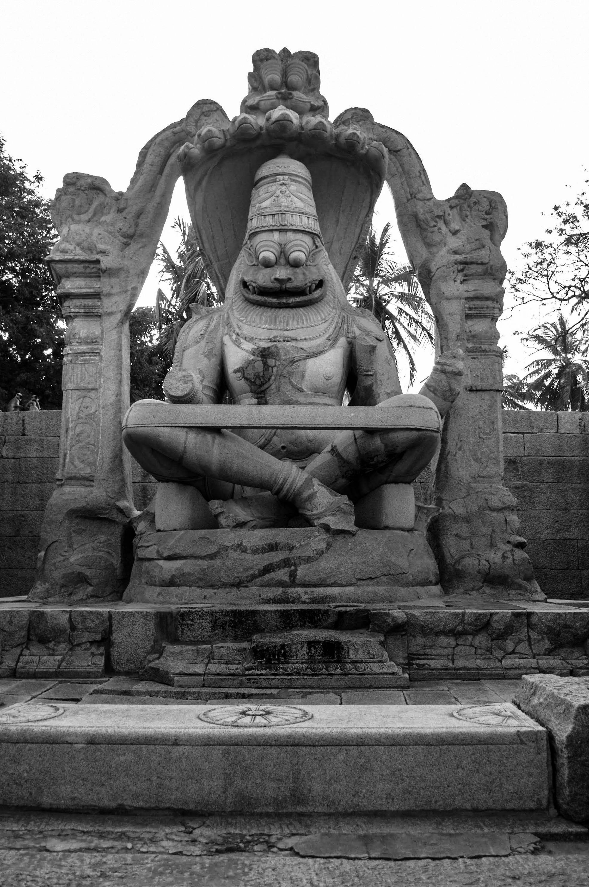 Rajvardhan Singh - Photography