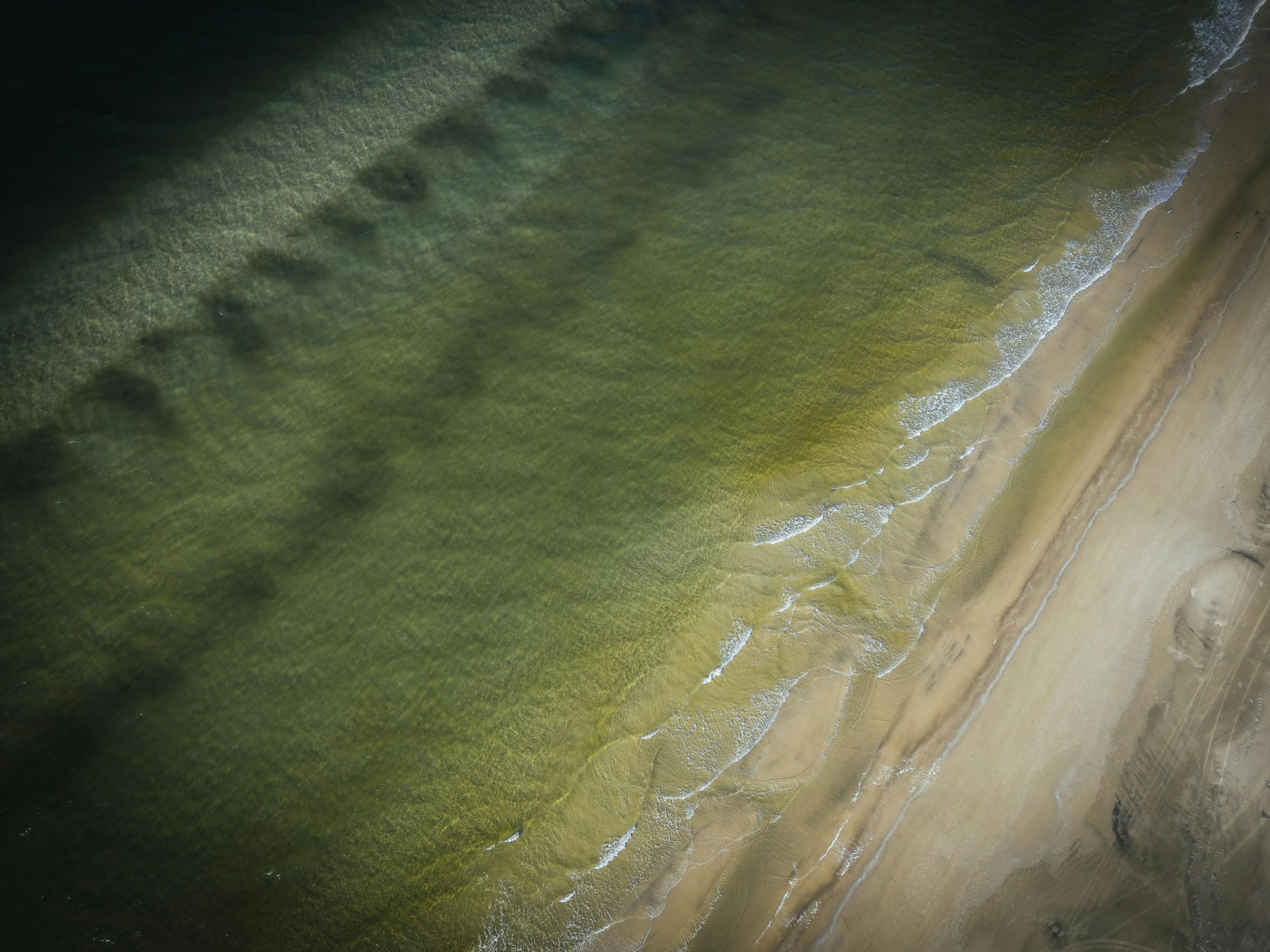 Birds Eye View of Sea Shore · Free Stock Photo