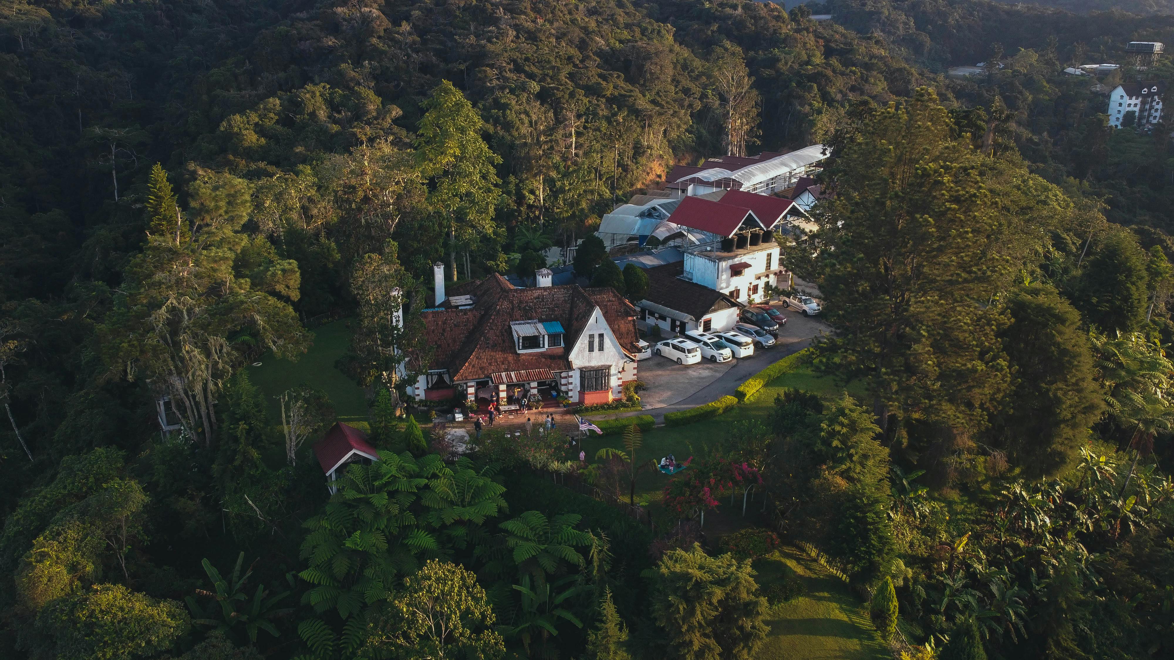 Village in Forest · Free Stock Photo