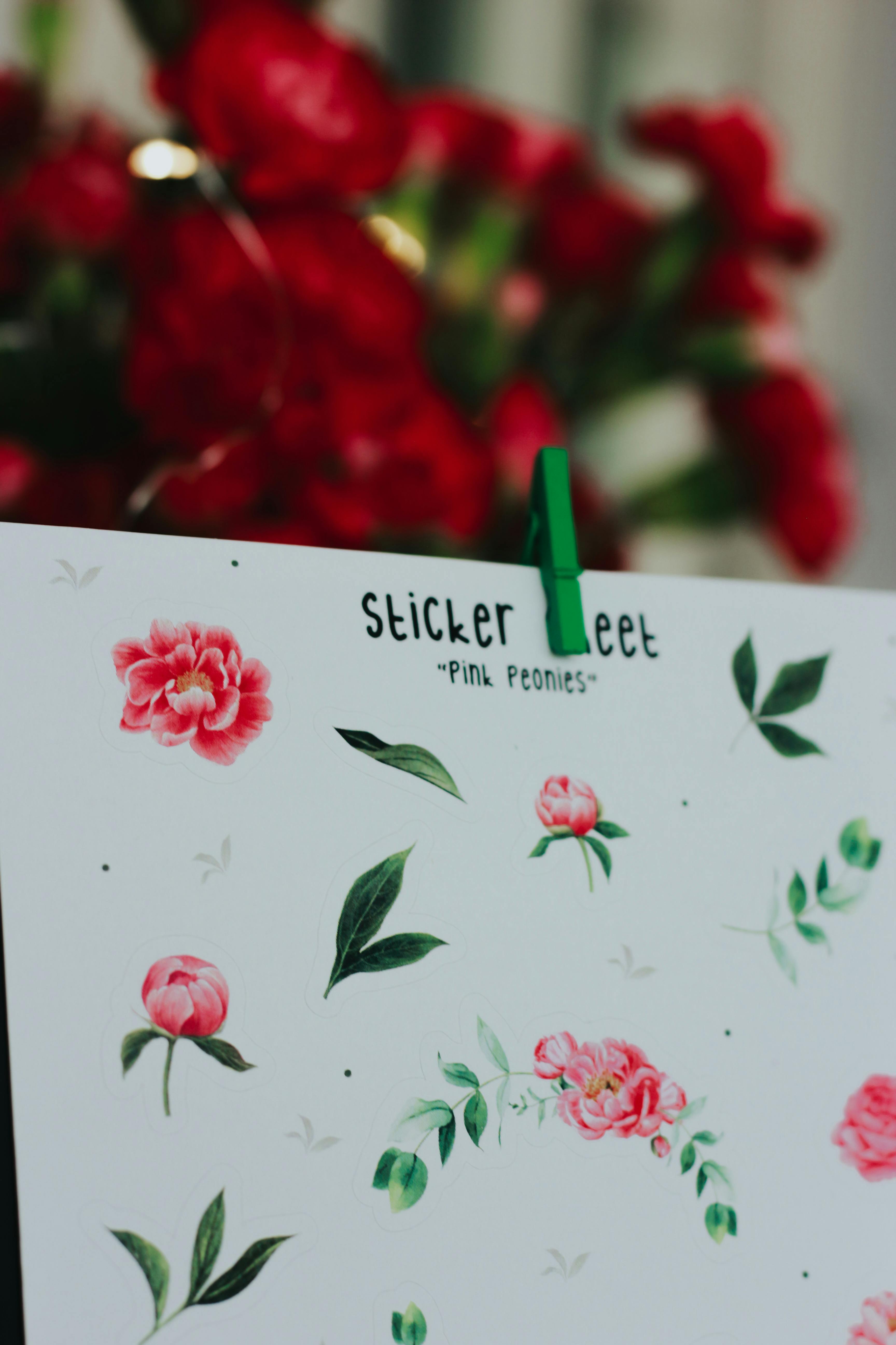 Sticker Sheet Photos, Download The BEST Free Sticker Sheet Stock Photos ...