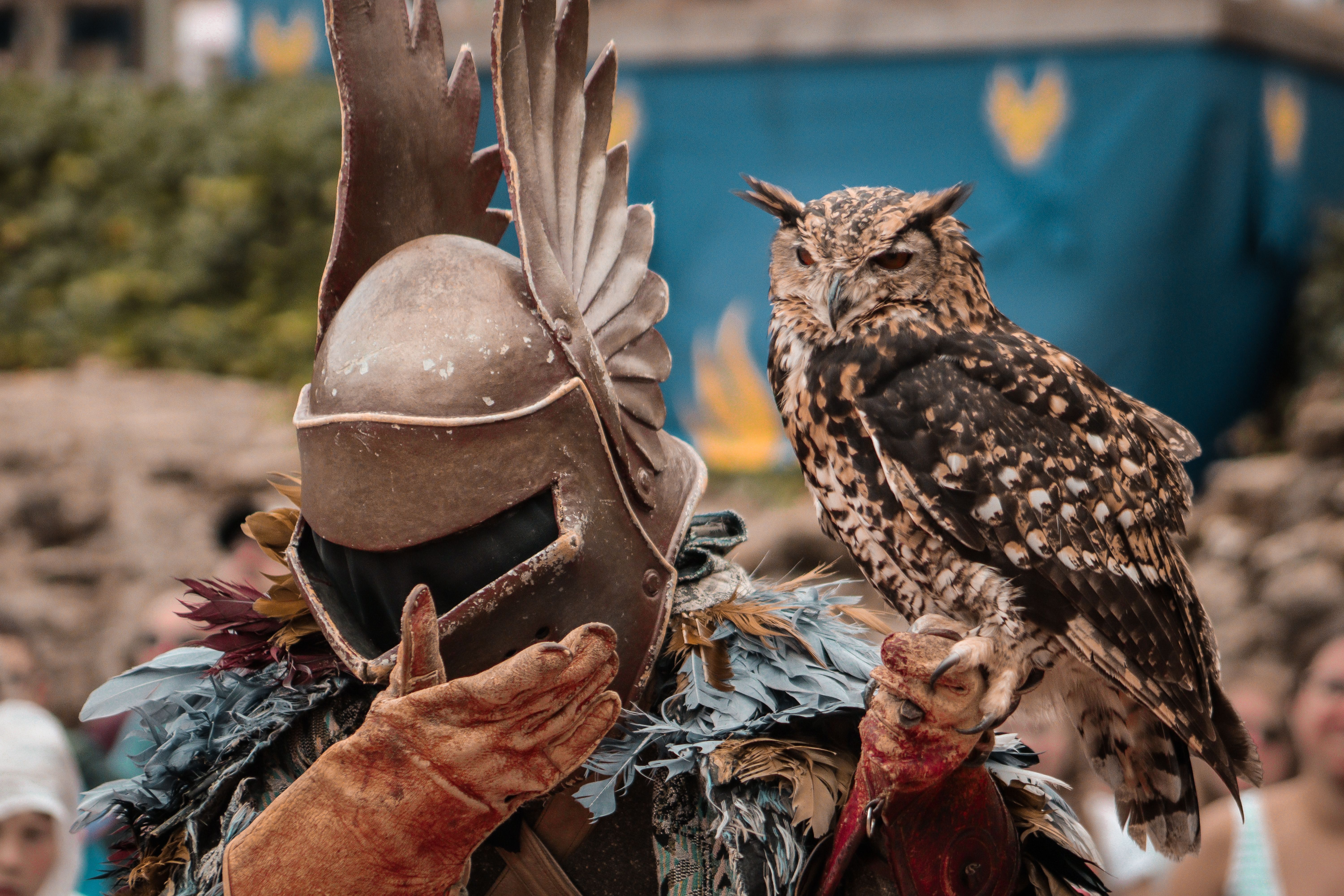 Owl With Man Photos, Download The BEST Free Owl With Man Stock Photos ...