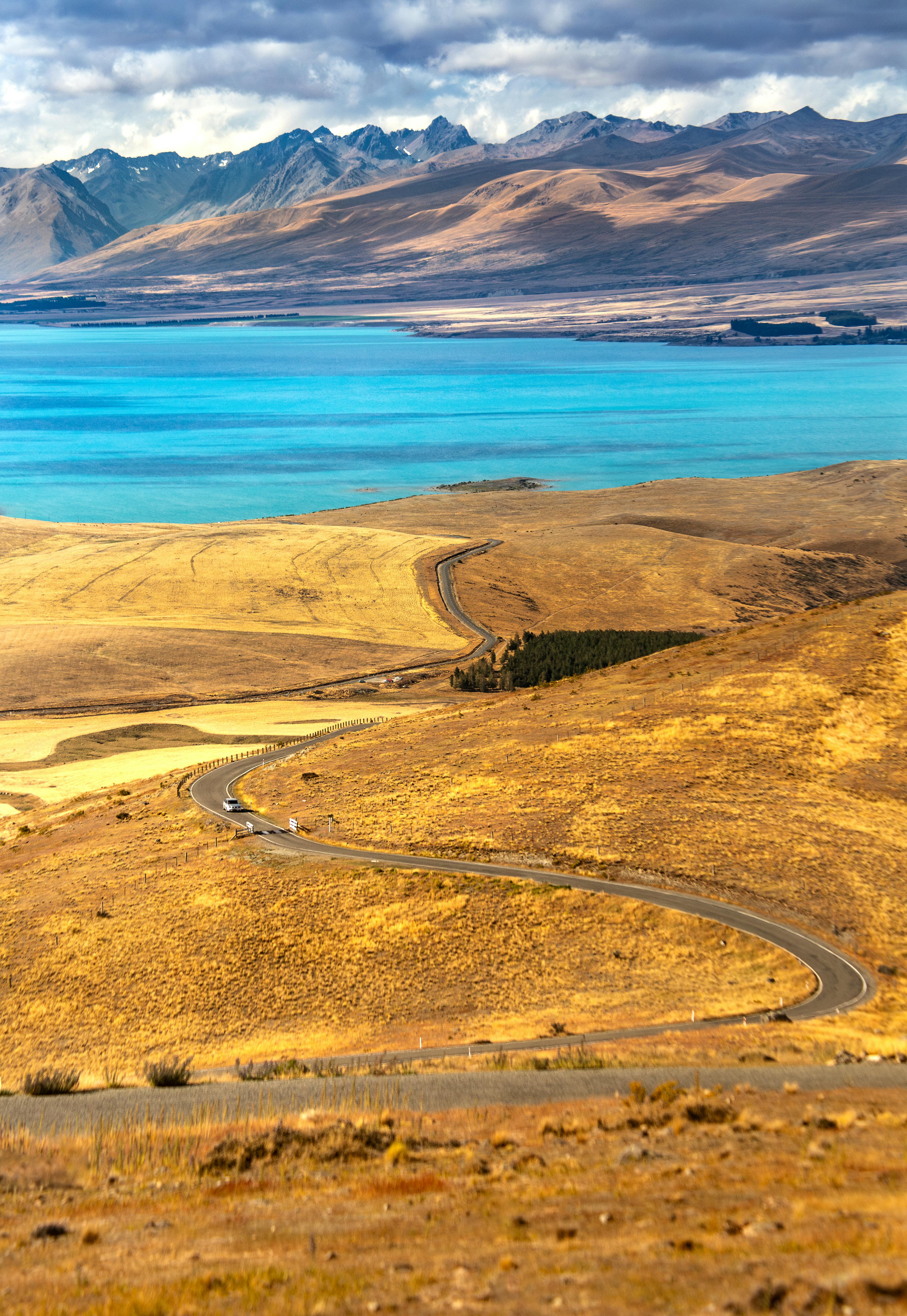 Matamata New Zealand Photos, Download The BEST Free Matamata New ...