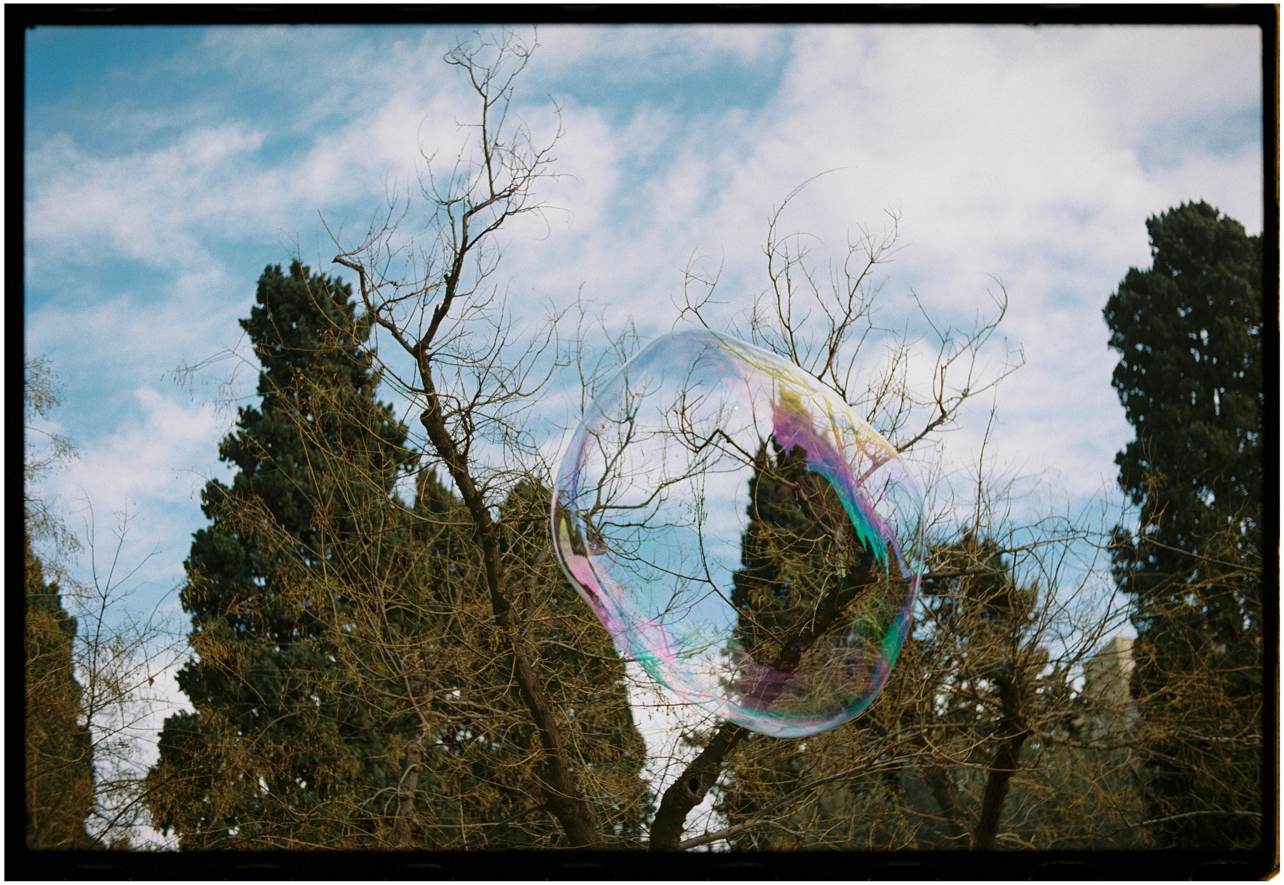 Bubble Flying over Trees · Free Stock Photo
