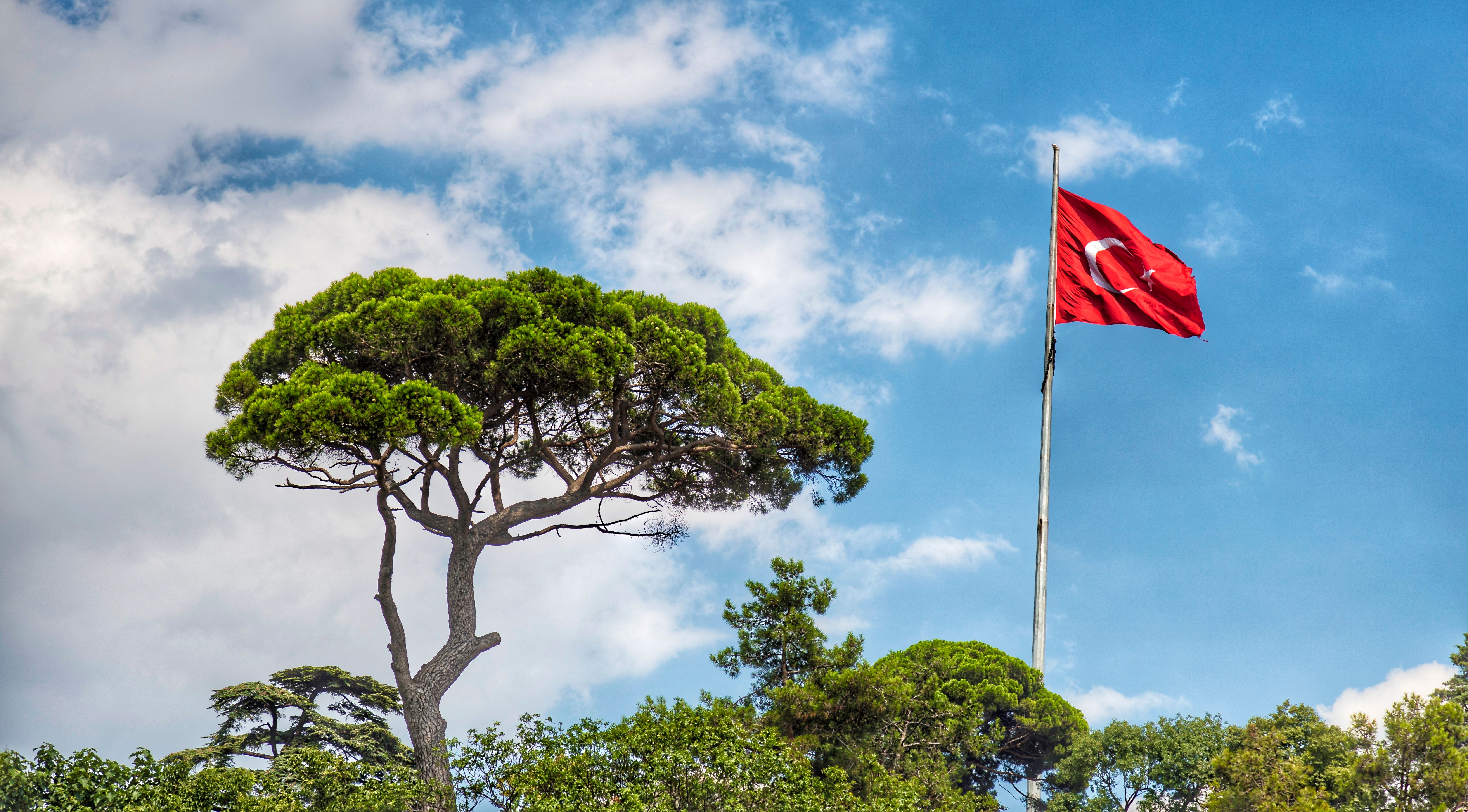 View of Green Trees and Turkish Flag on a Mast against Blue Sky · Free ...