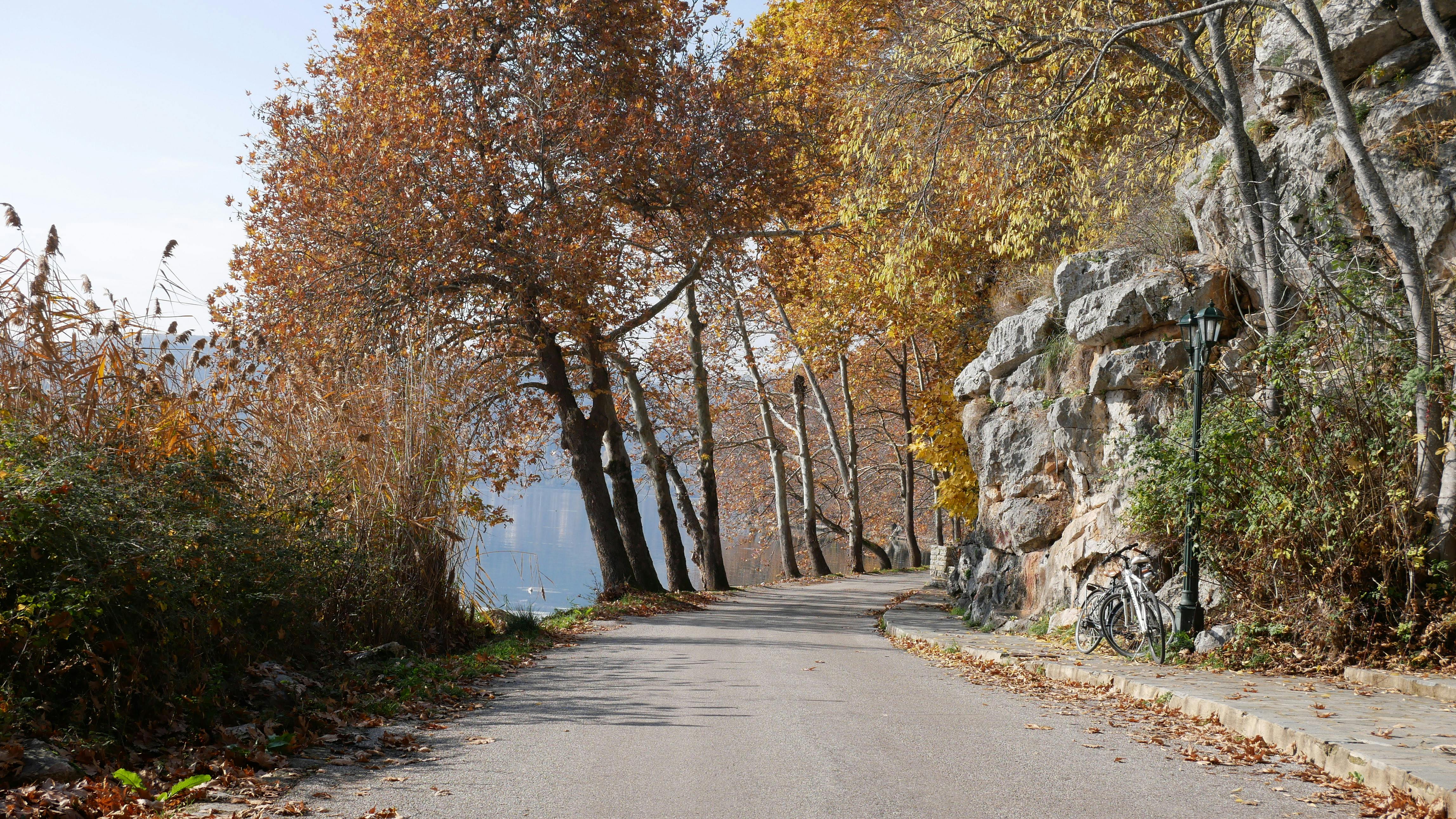 Road Side Cliff Wall Photos, Download The BEST Free Road Side Cliff ...