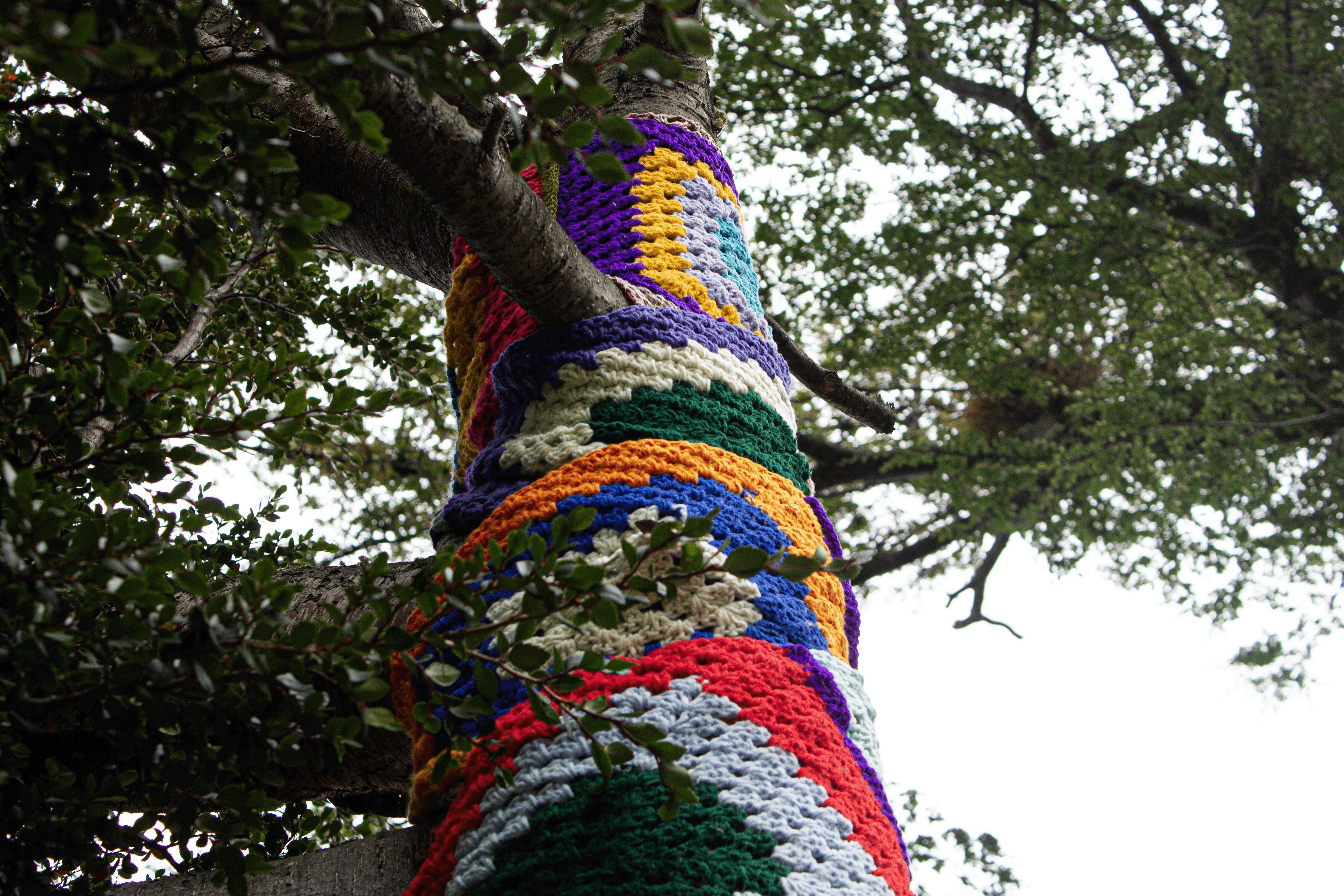Tree Trunk Wrapped with a Knitted Scarfs · Free Stock Photo