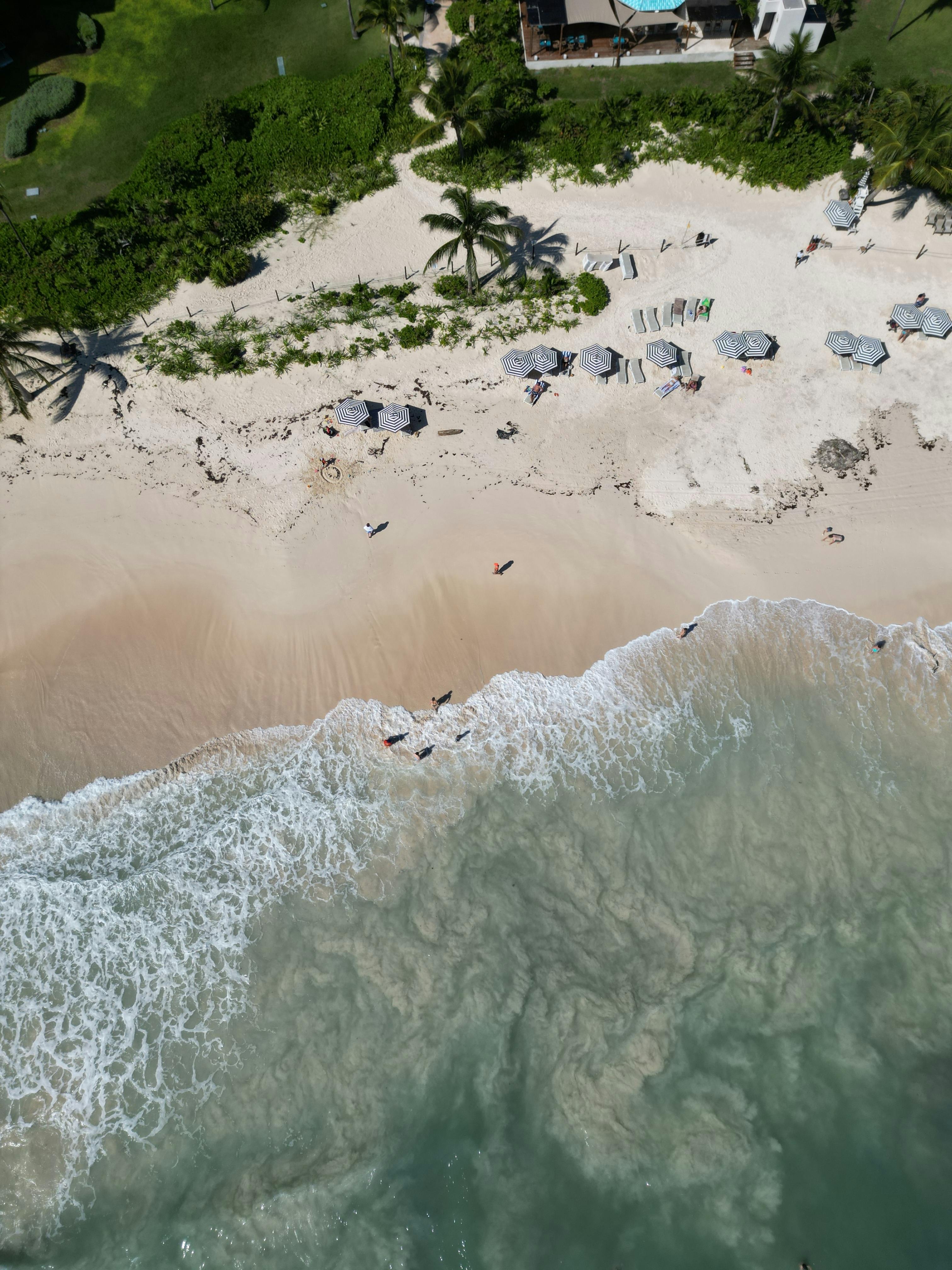 Birds Eye View of a Populated Beach · Free Stock Photo
