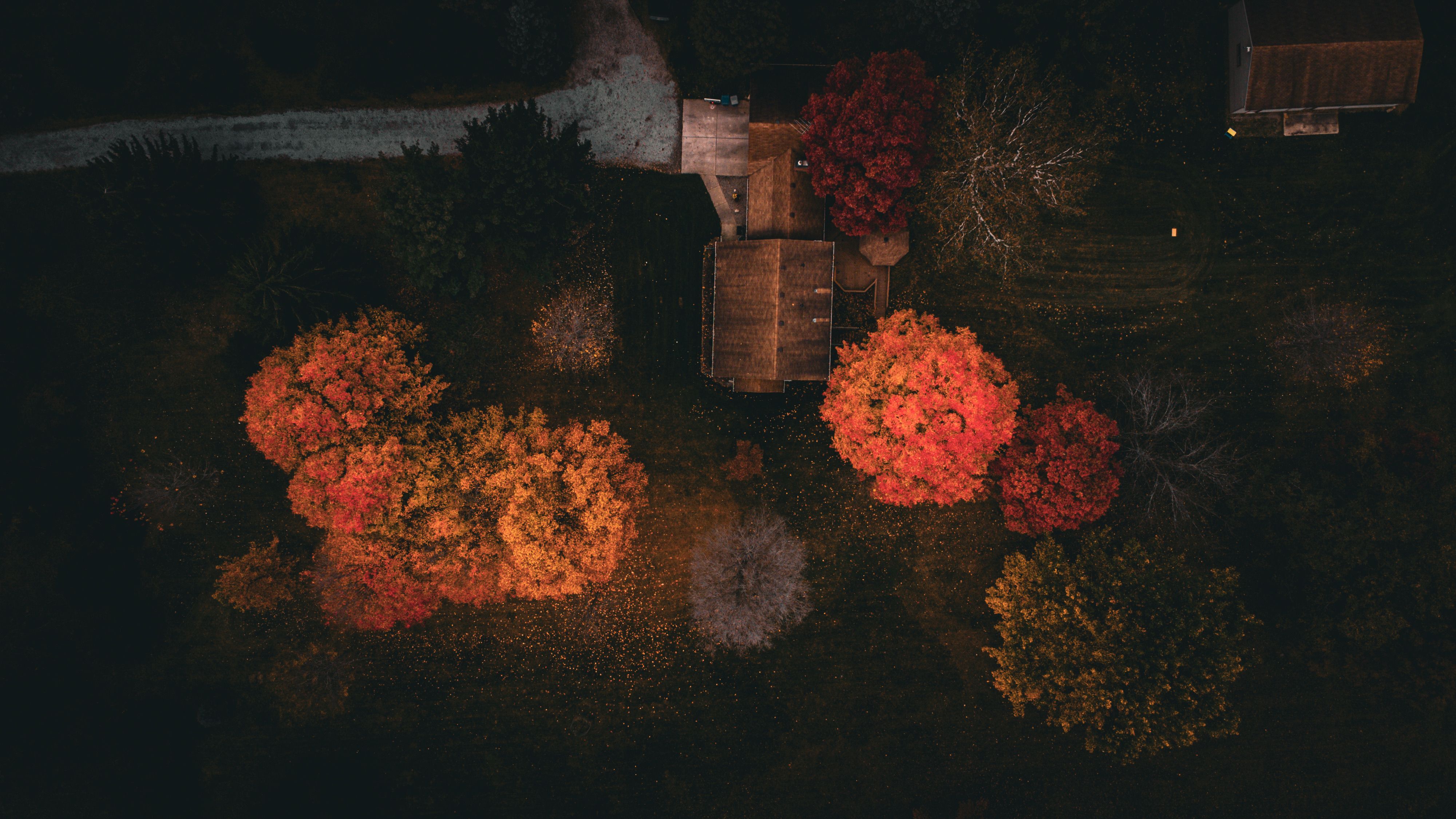 Drone Shot of a House and Autumnal Trees · Free Stock Photo